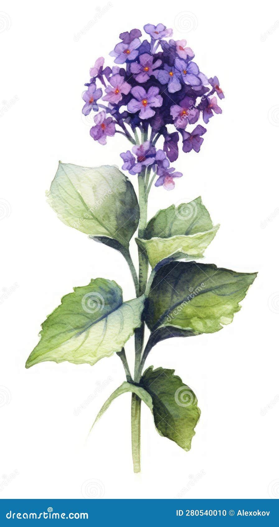 Heliotrope Purple Gradient Blurred With Grainy Noise Texture Background ...