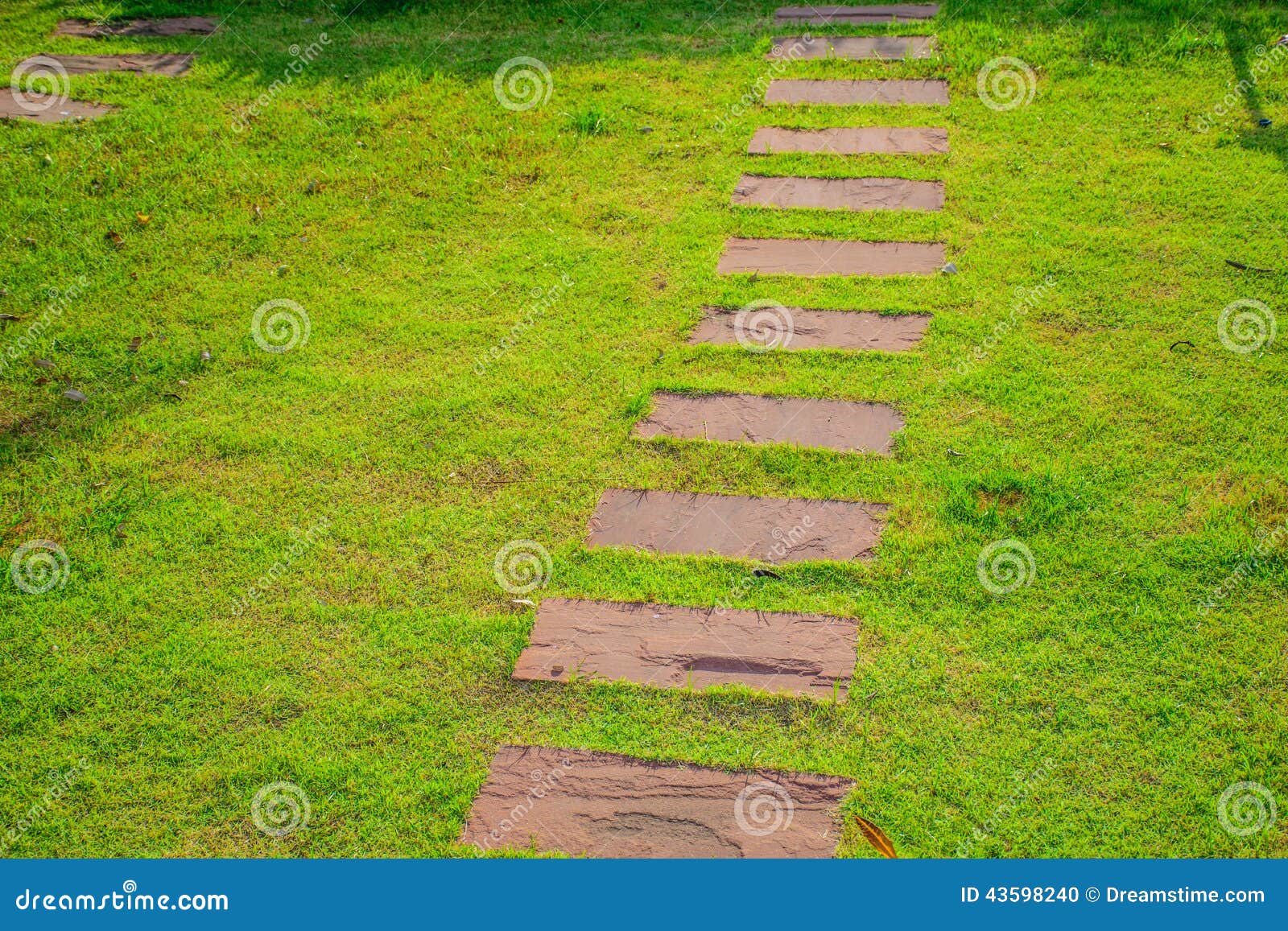Modern Style Path Way with Grass Stock Photo - Image of forest, antique ...