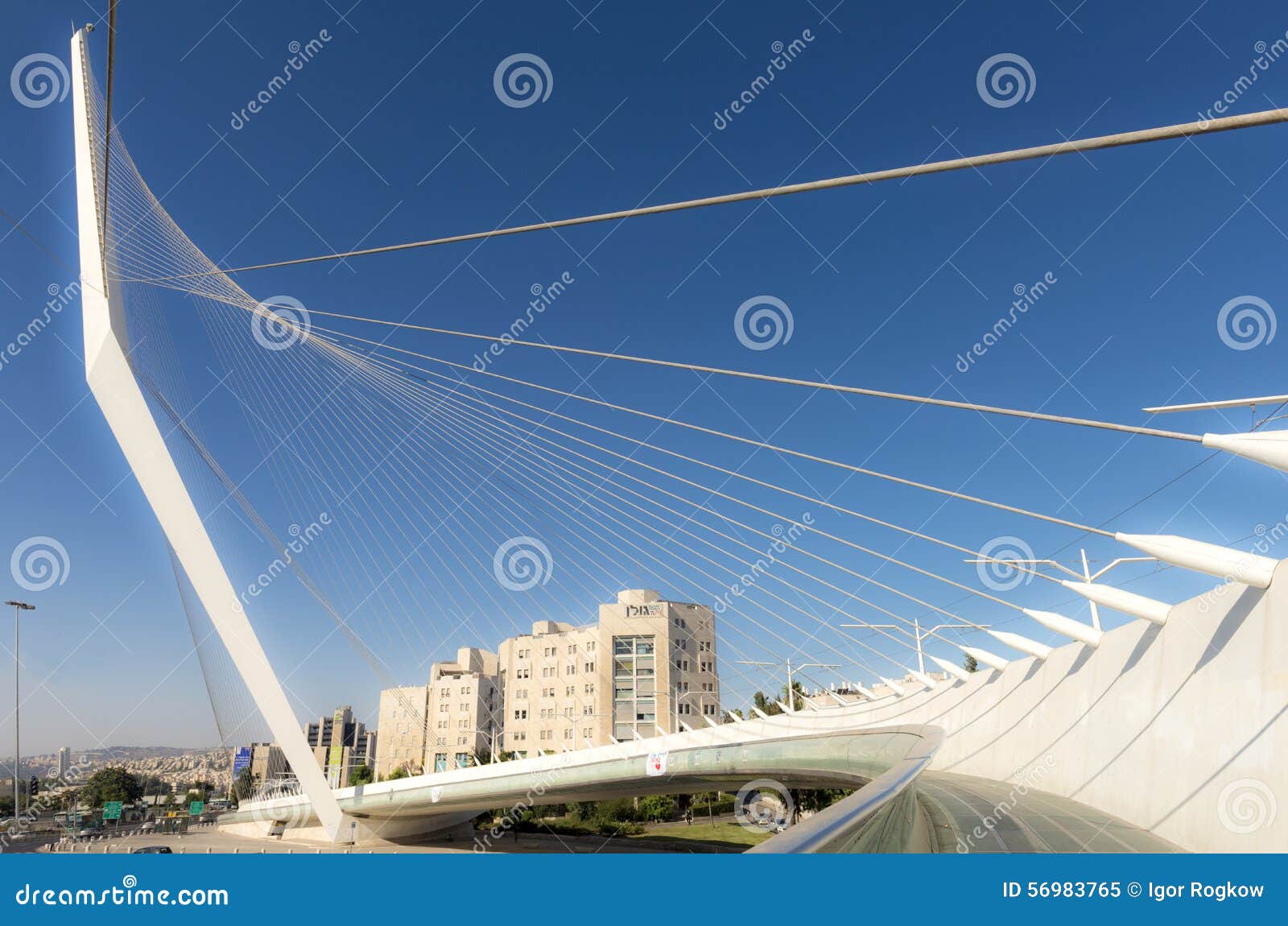 Modern Suspension Bridge Royalty-Free Stock Photo | CartoonDealer.com ...