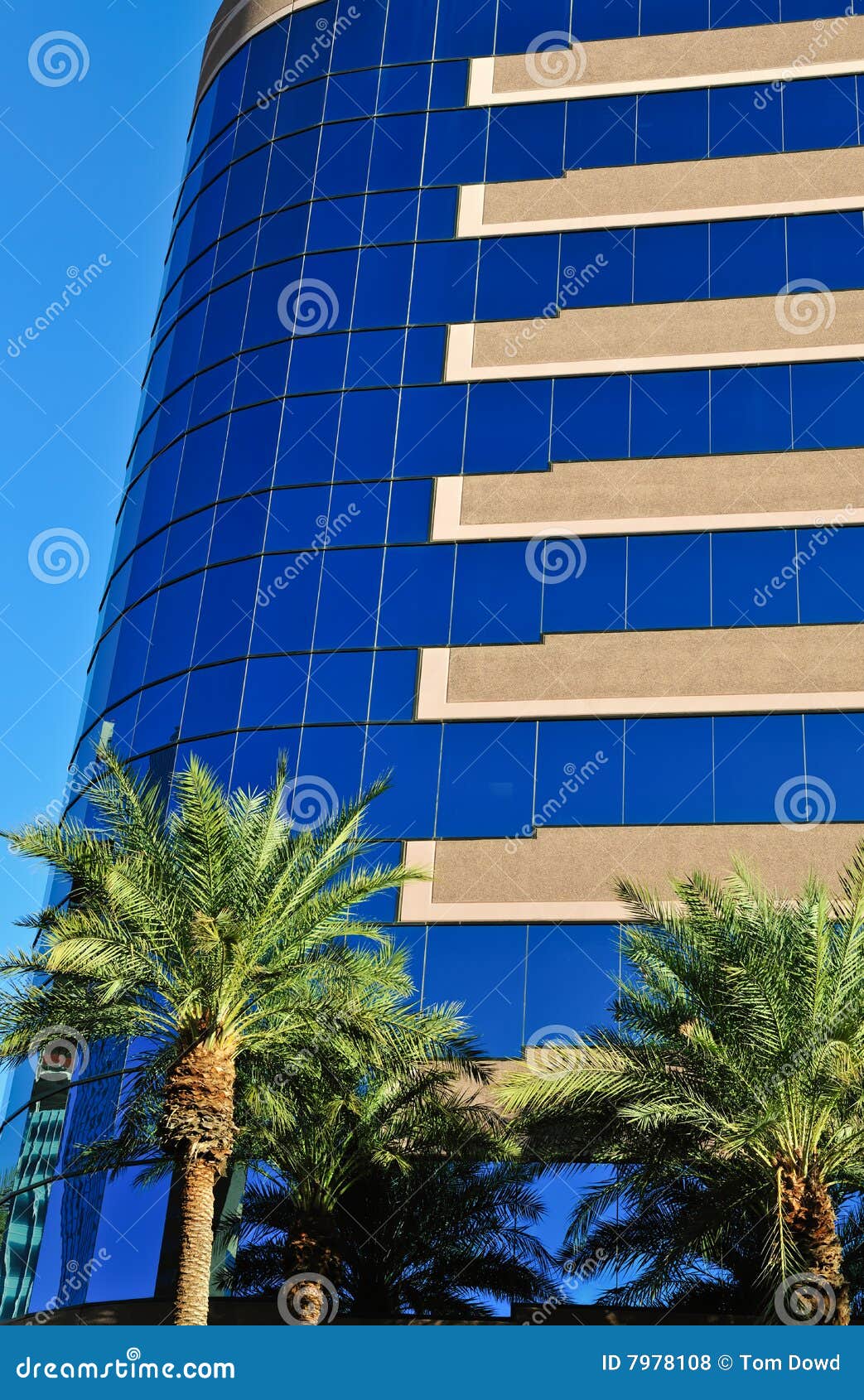 Modern tall building stock photo. Image of tall, modern - 7978108