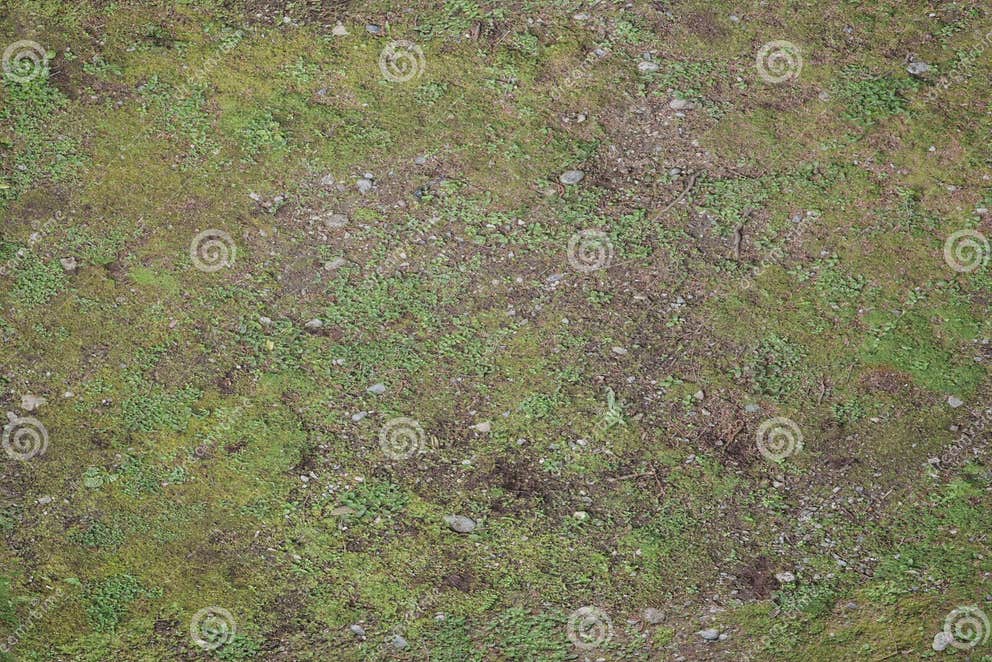 Texture Realistic Background 3d Rendering Stock Illustration ...