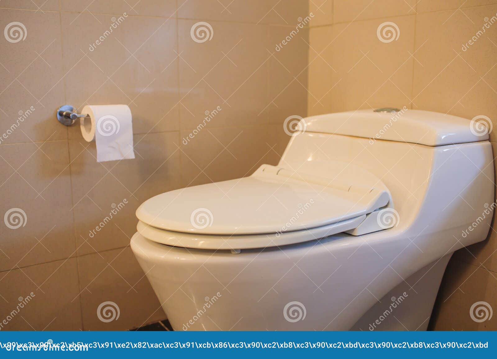 Modern Toilet Bowl in a Men Bathroom,white Ceramic Flush Toilet for Men ...