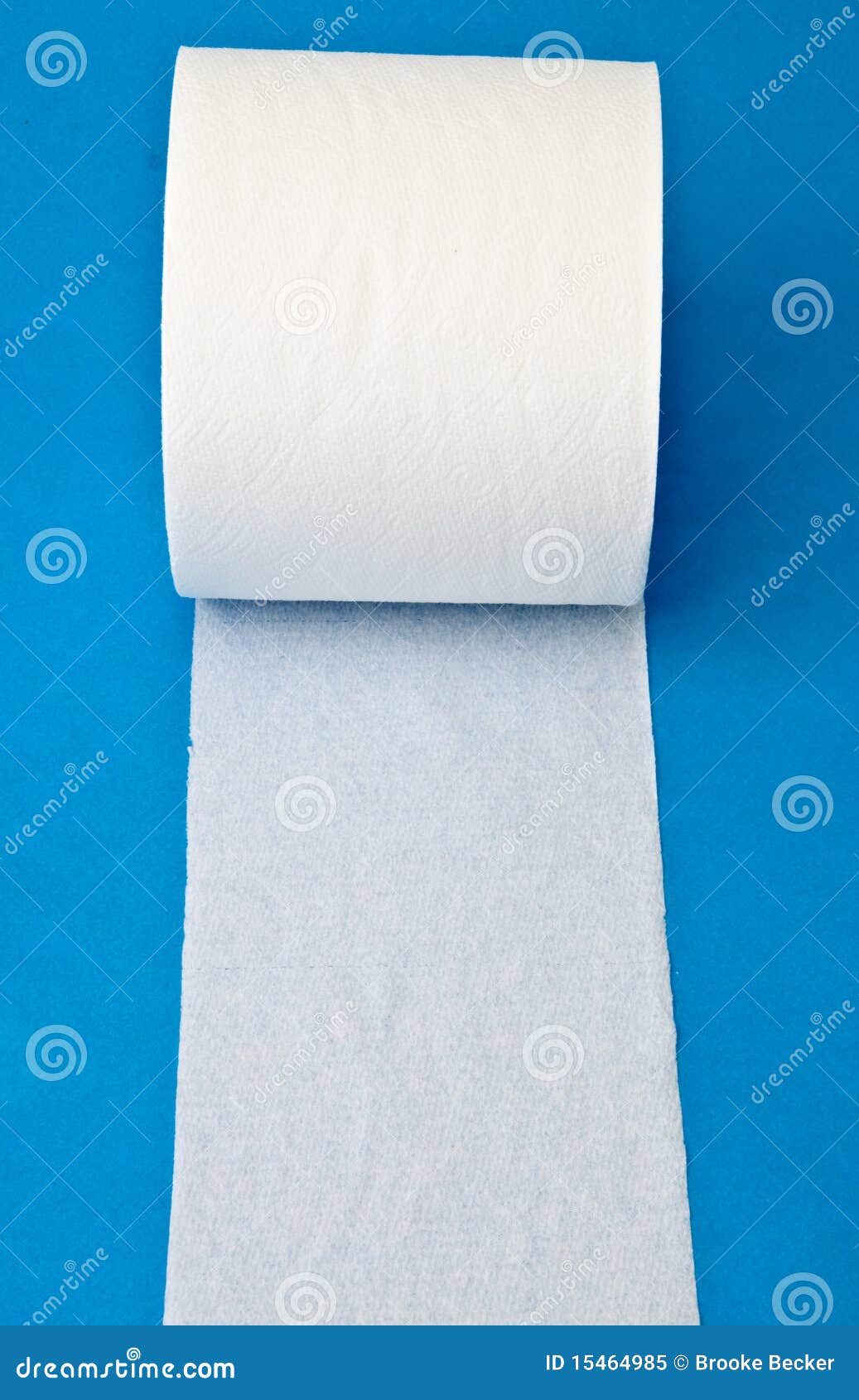 Modern Toilet Paper stock image. Image of toiletries - 15464985