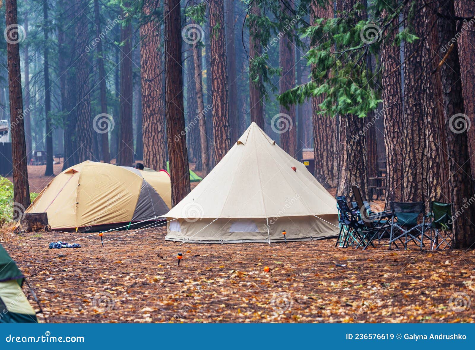 Tent in the forest stock image. Image of modern, camping - 236576619