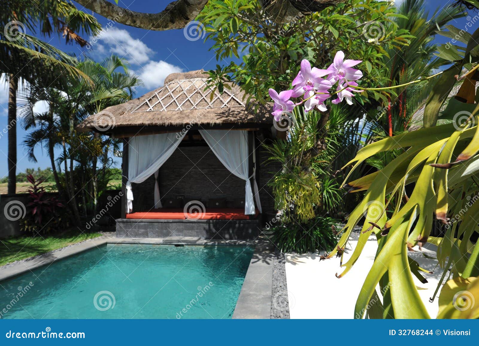 Modern Tropical Villa with Swimming Pool Stock Photo - Image of pool ...