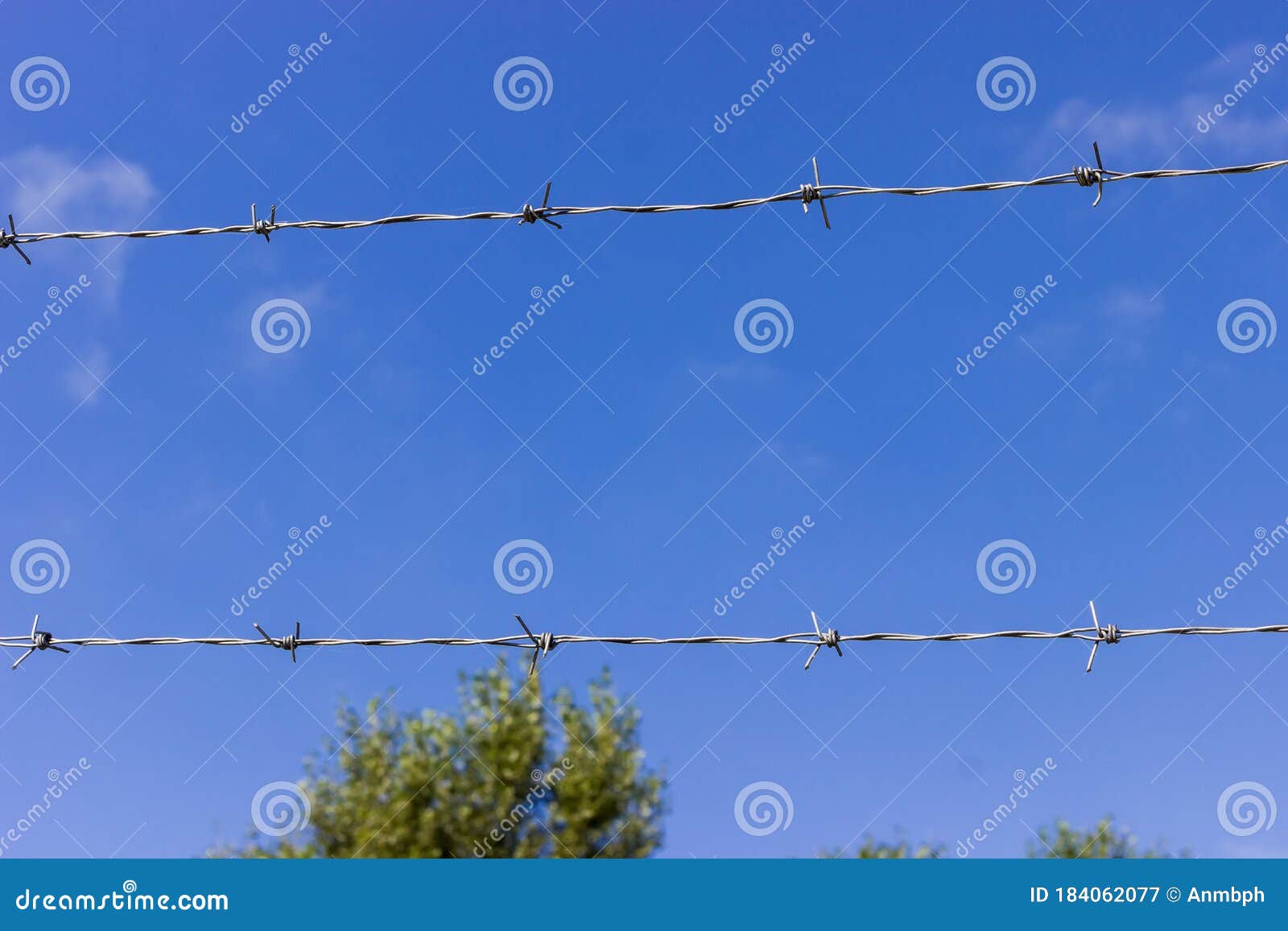 Modern Twisted Barbed Wire Stretched on a Background of Sky Stock Image ...