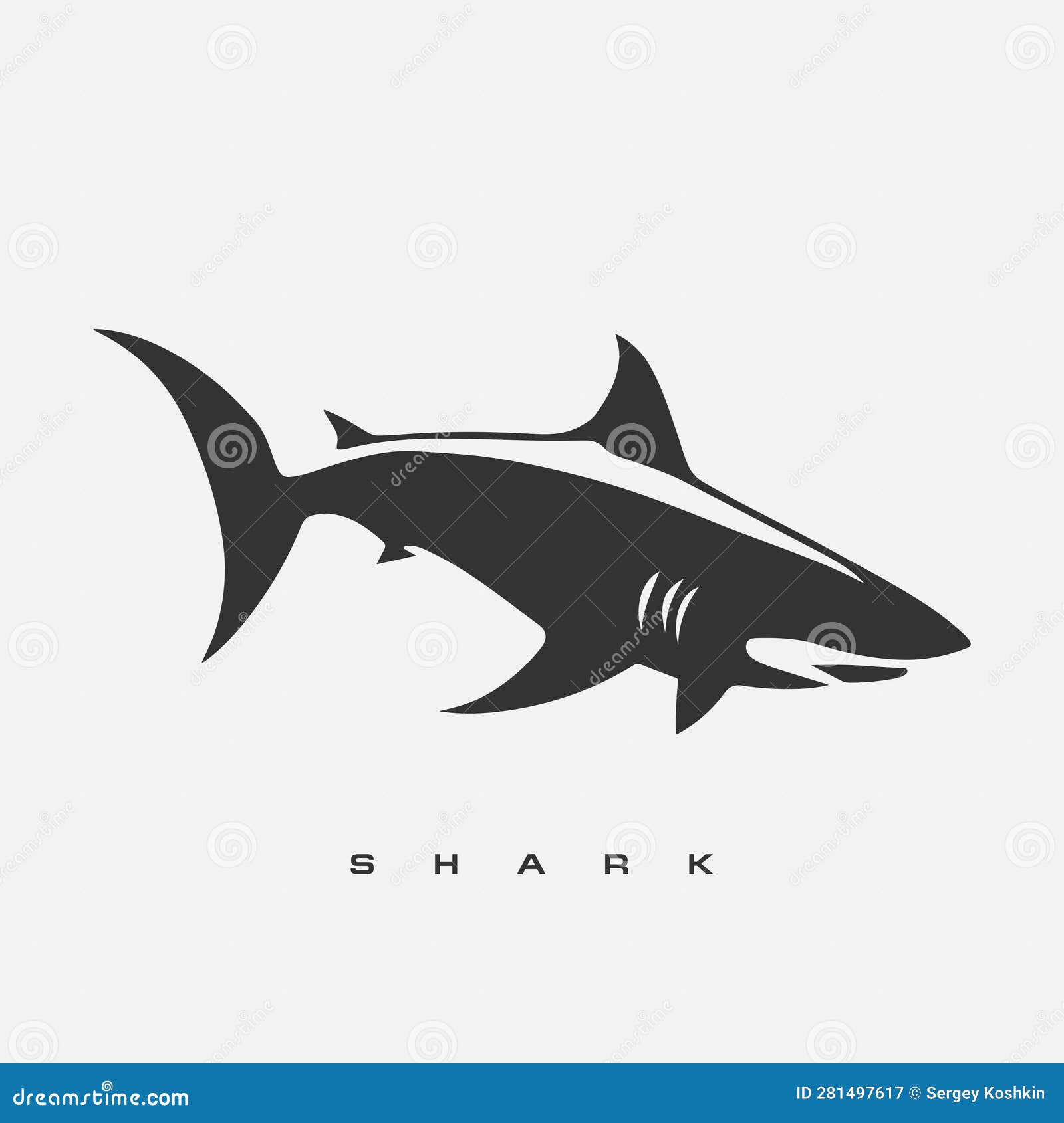 Modern Vector Shark Logo Template. Stock Vector - Illustration of teeth ...