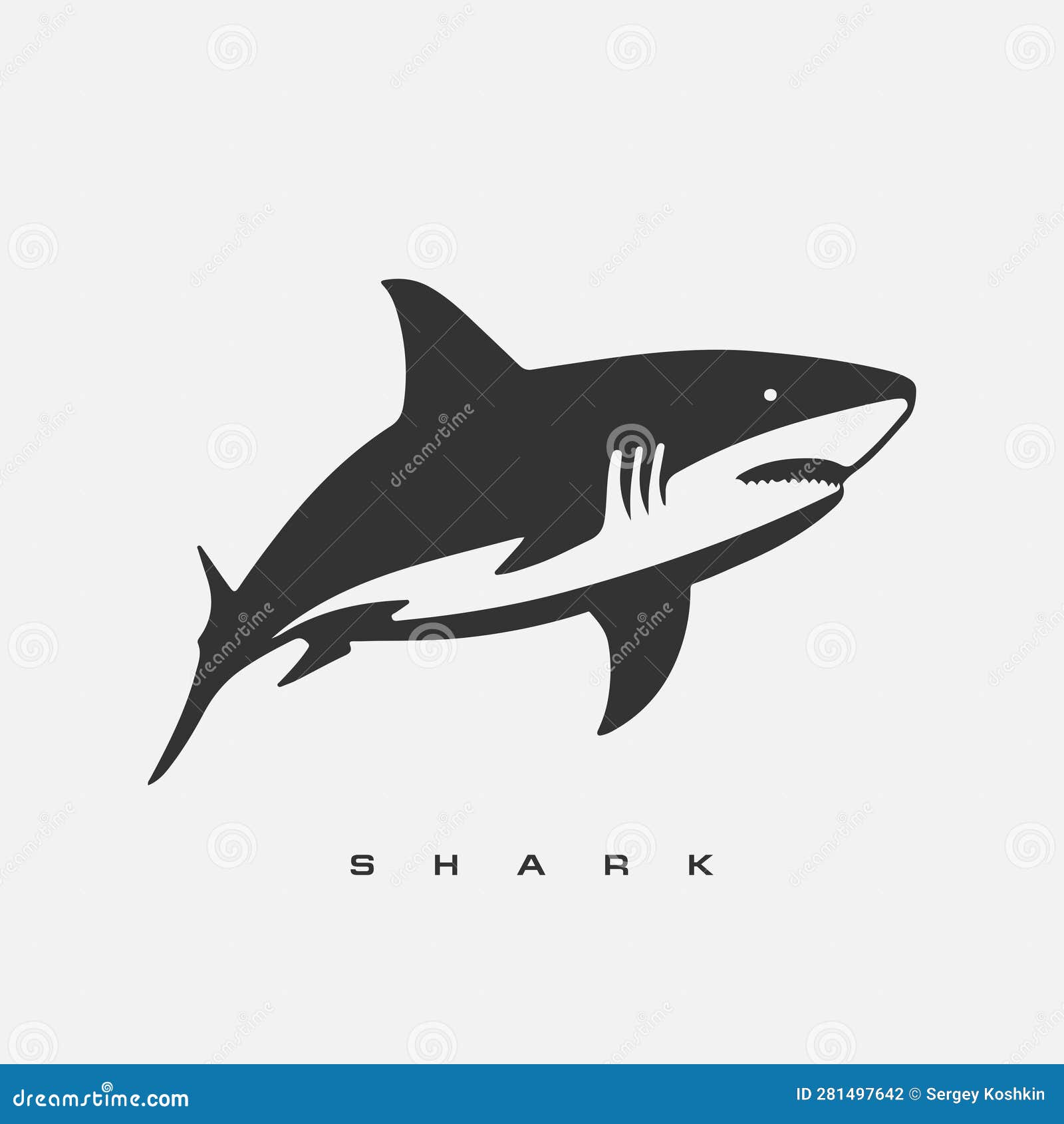 Modern Vector Shark Logo Template. Stock Vector - Illustration of ...