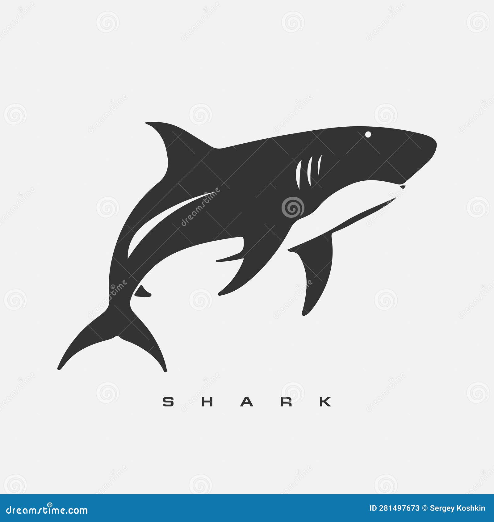 Modern Vector Shark Logo Template. Stock Vector - Illustration of ...