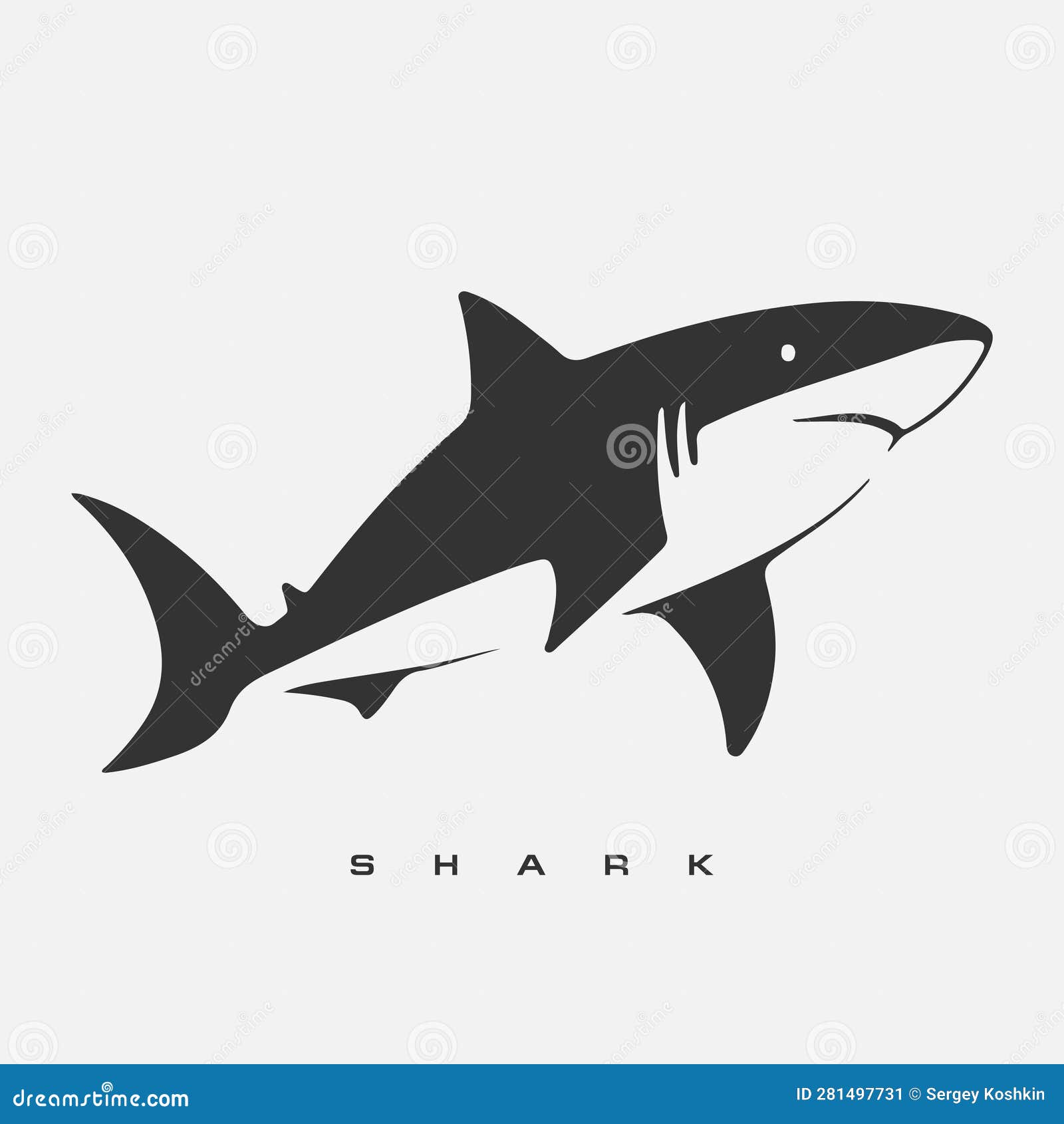 Modern Vector Shark Logo Template. Stock Vector - Illustration of white ...