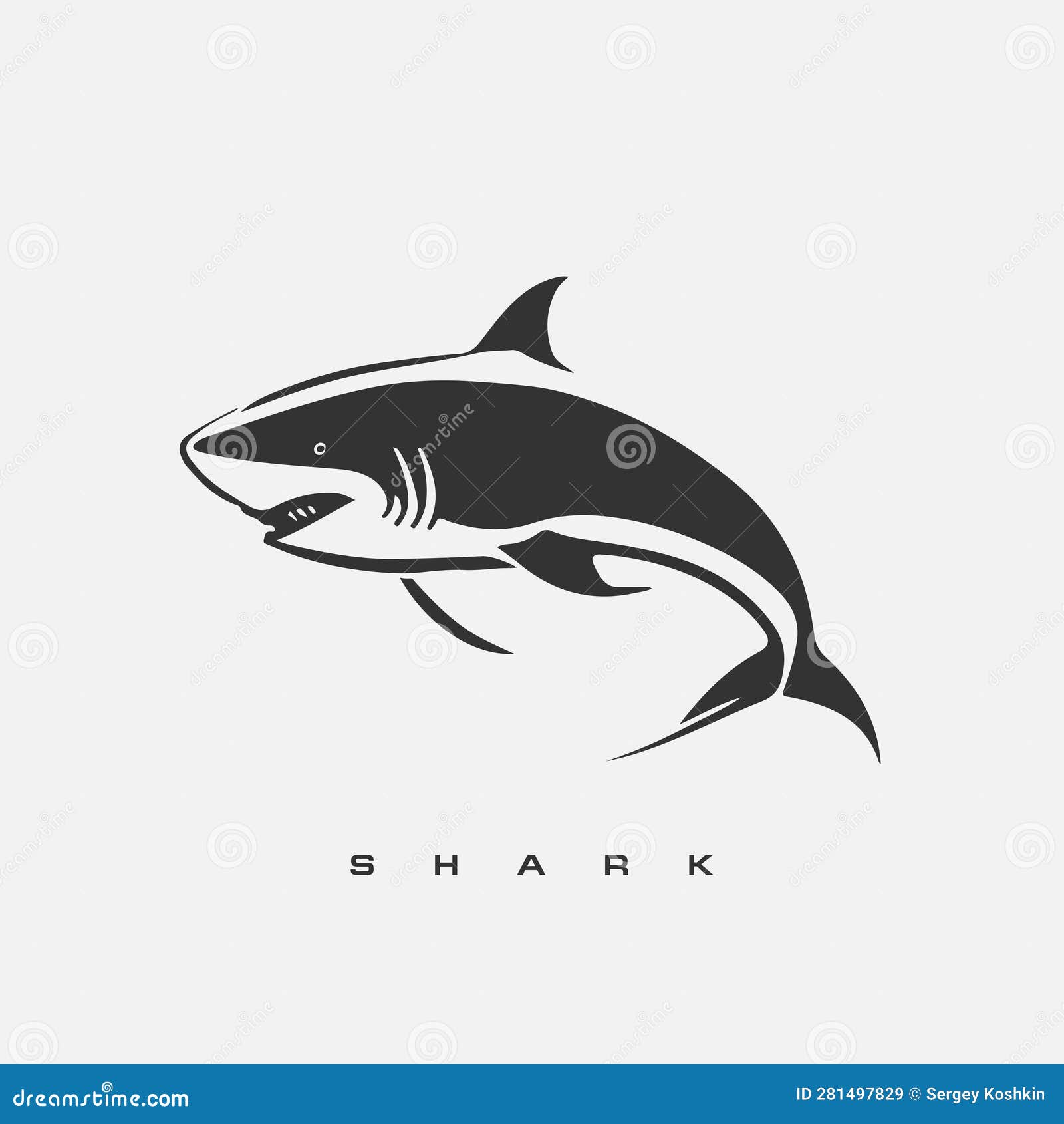 Modern Vector Shark Logo Template. Stock Vector - Illustration of sport ...