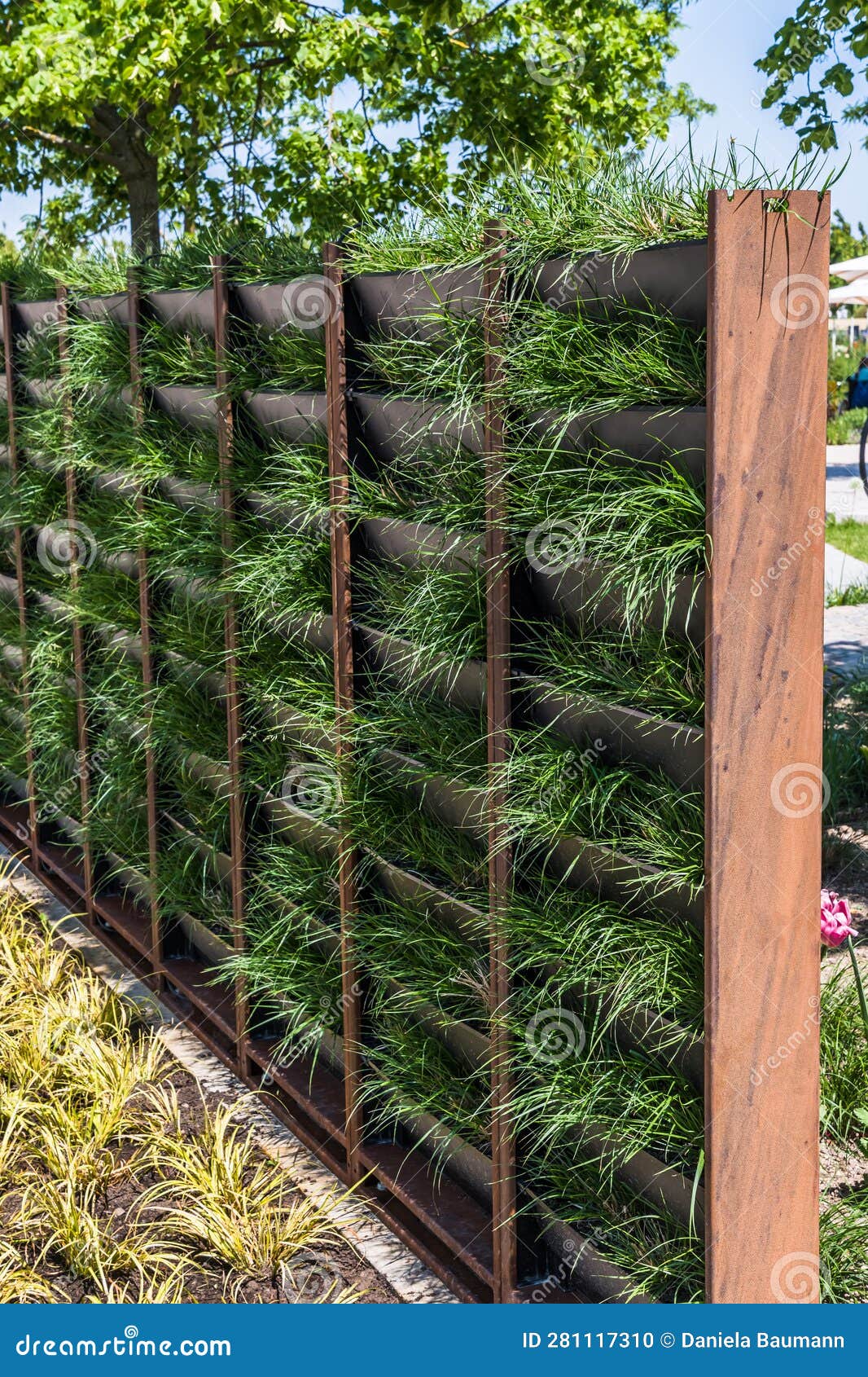 Modern Vertical Garden with Grass Plants Stock Photo - Image of ...