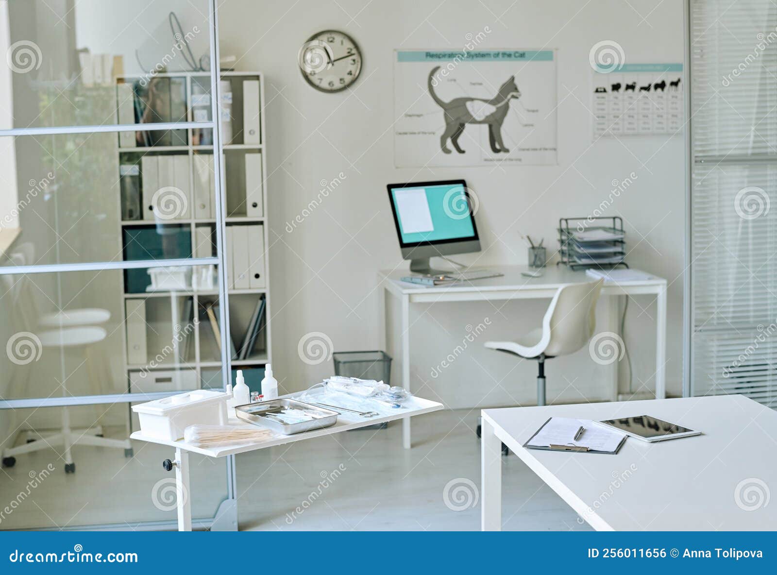 Modern Vet Clinic with Workplace Stock Photo - Image of clinic ...