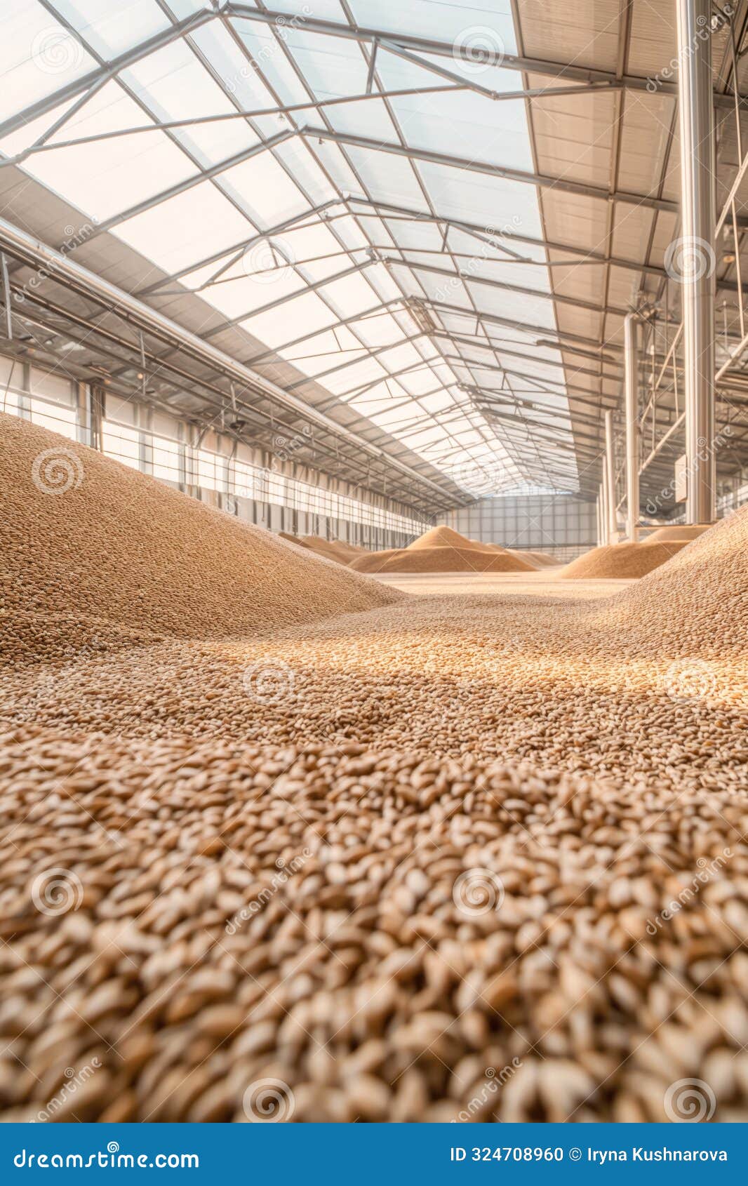 Modern Warehouse Interior with High Ceiling and Columns. Hay-covered ...