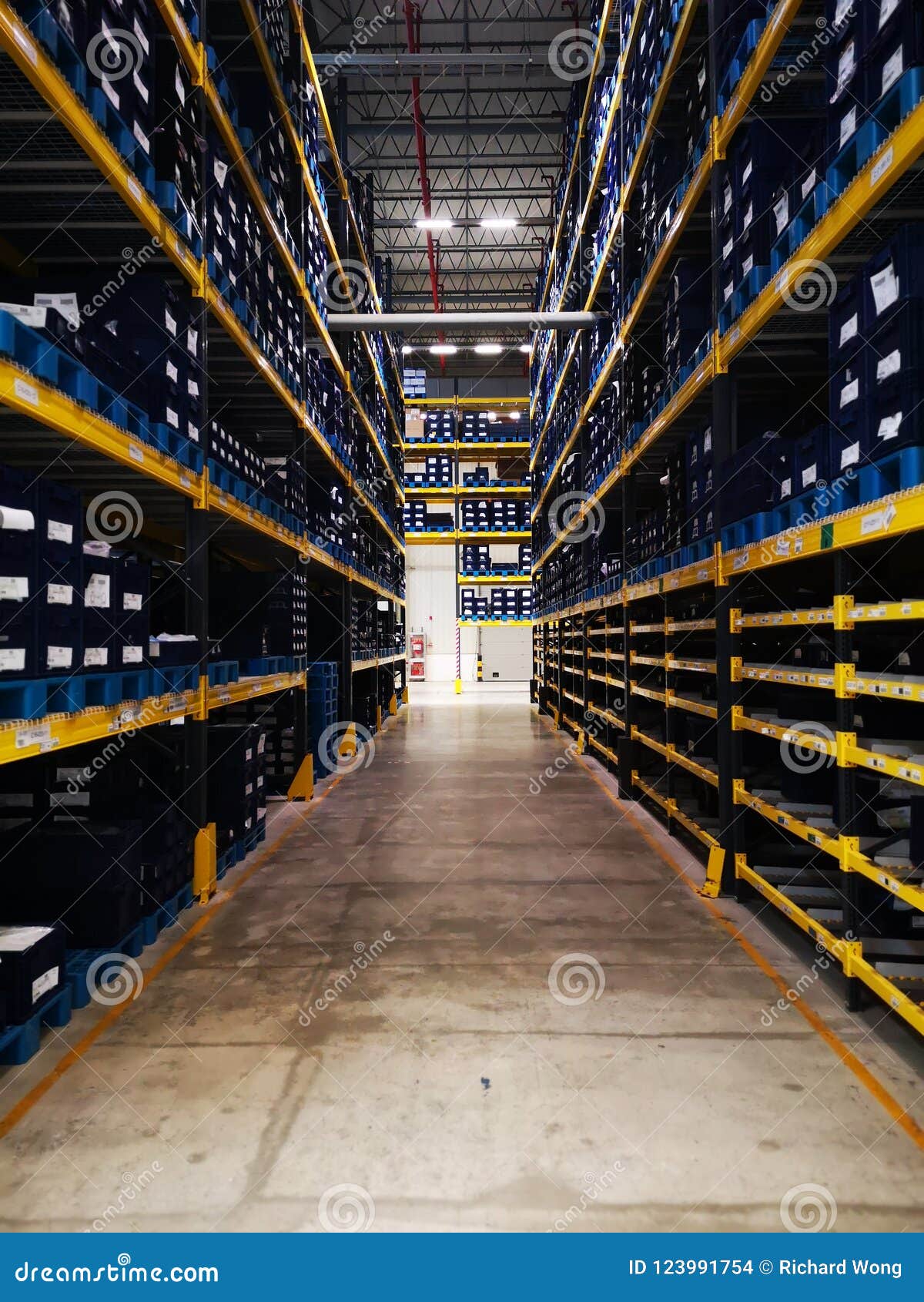 Modern Warehouse within Plastic Boxes and the Shelf Stocking Raw ...