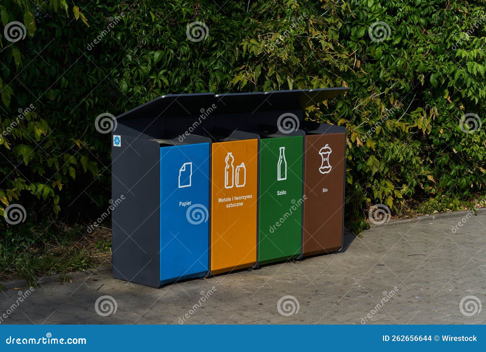 Modern Waste Sorting Bin Against the Trees in the Park Stock Photo ...