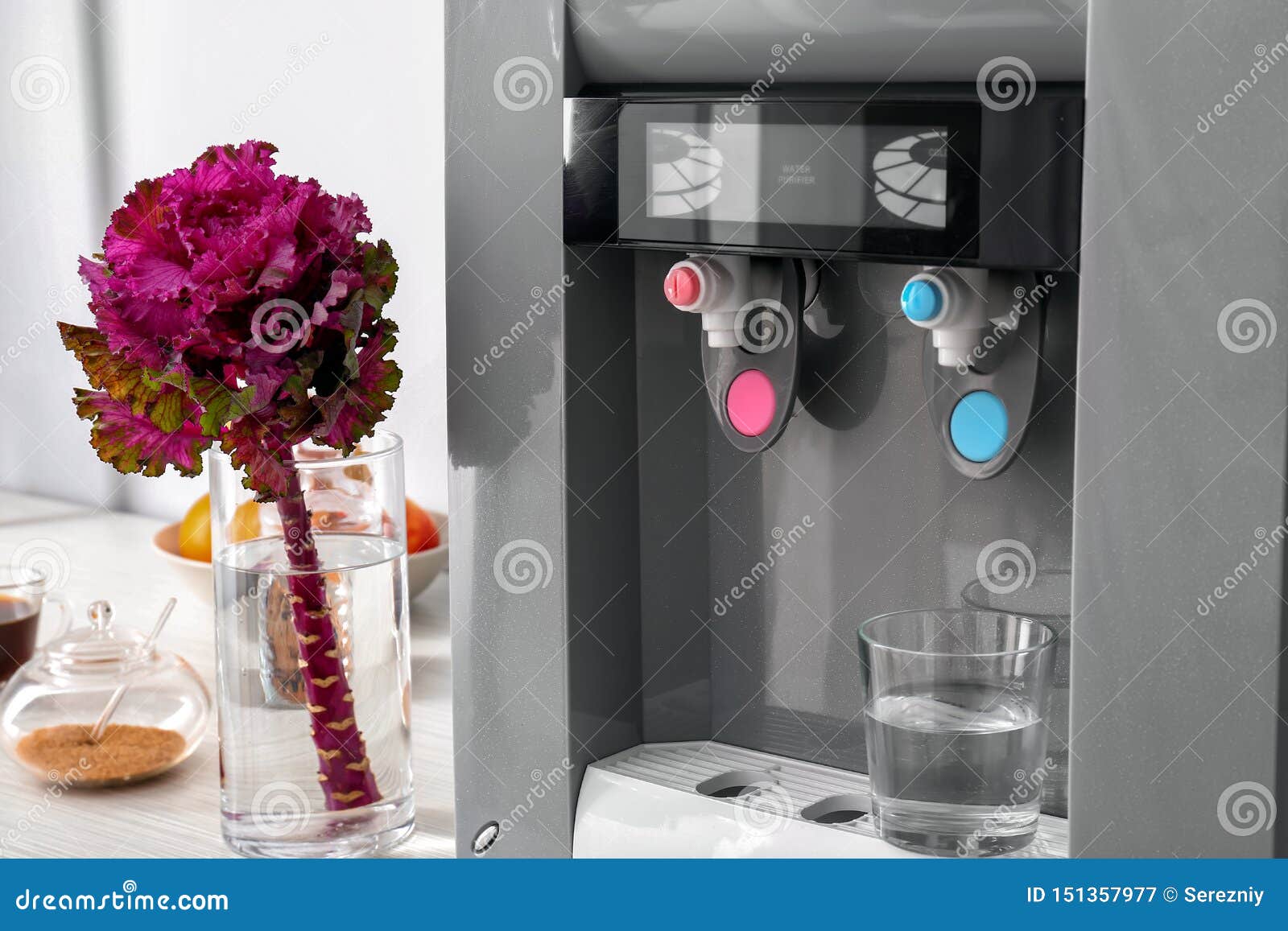 Modern Water Cooler on Table in Kitchen Stock Image - Image of beverage ...