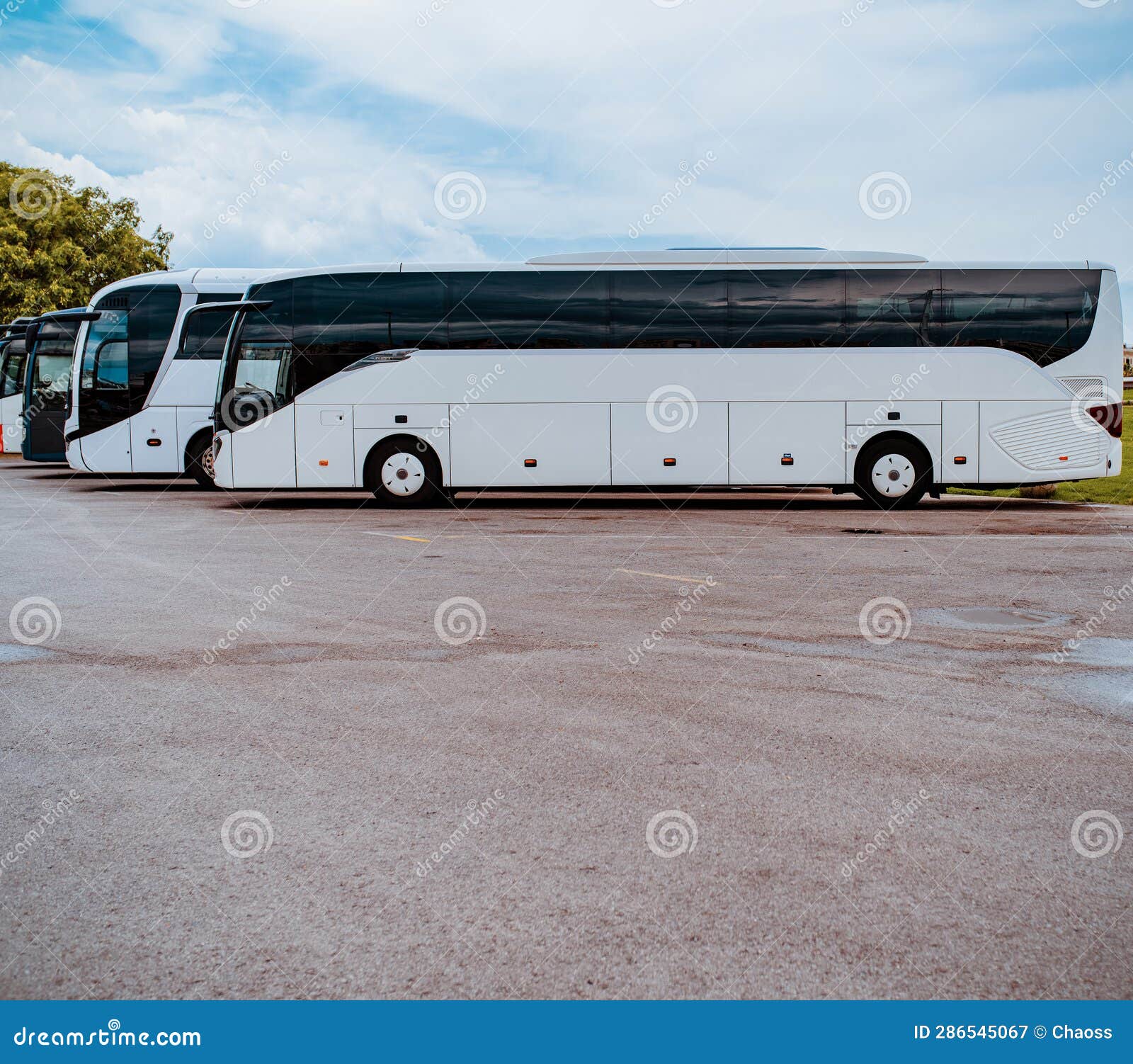 Modern White Buses on Parking Editorial Photography - Image of buses ...
