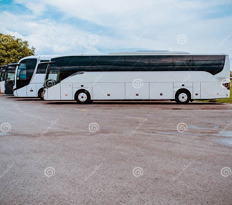 Modern White Buses on Parking Editorial Photography - Image of buses ...