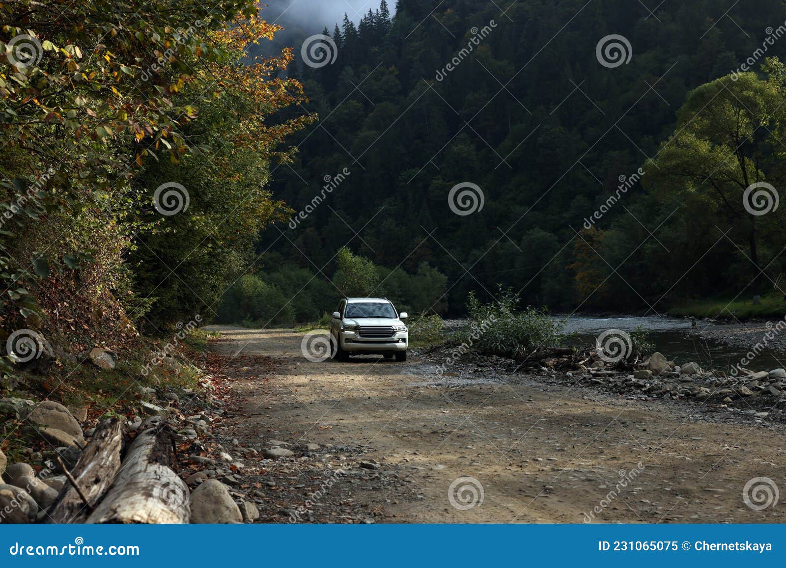 Modern White Car on Pathway in Forest Stock Image - Image of ...