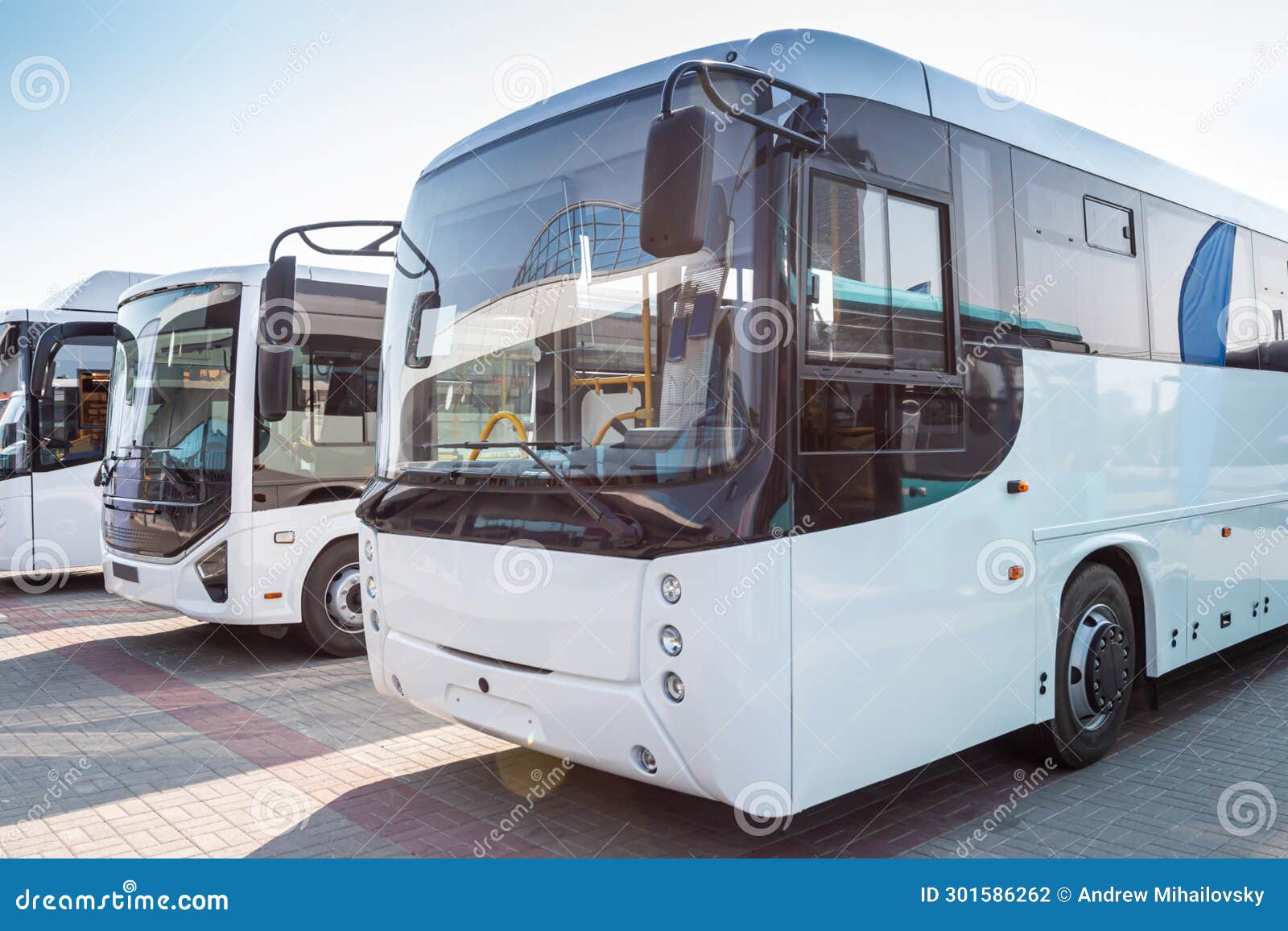 White City Buses at the Bus Station Stock Photo - Image of auto, tour ...