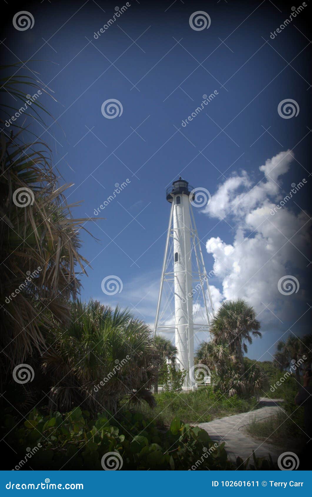 Lighthouse Surrounded by Palm Trees Stock Image - Image of modern, pole ...