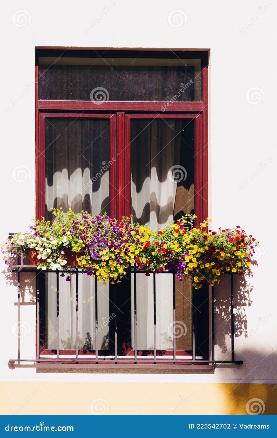 Modern Window with Pots of Flowers on Bright Wall Background. Stock ...