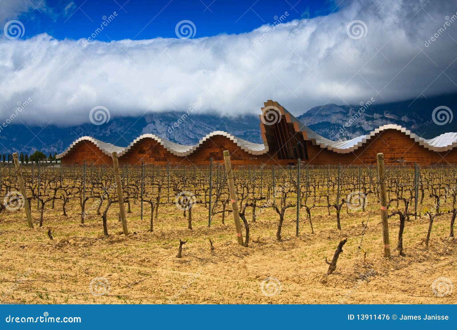 Modern Winery stock photo. Image of wine, grape, vintage - 13911476