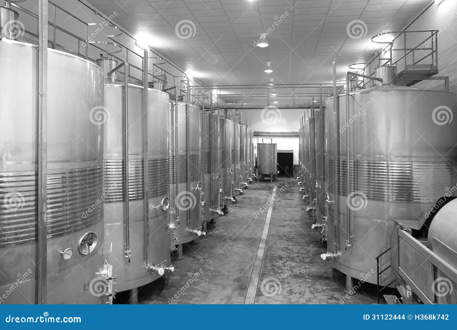 Modern Winery Fermenting Process Stock Photo - Image of horizontal ...