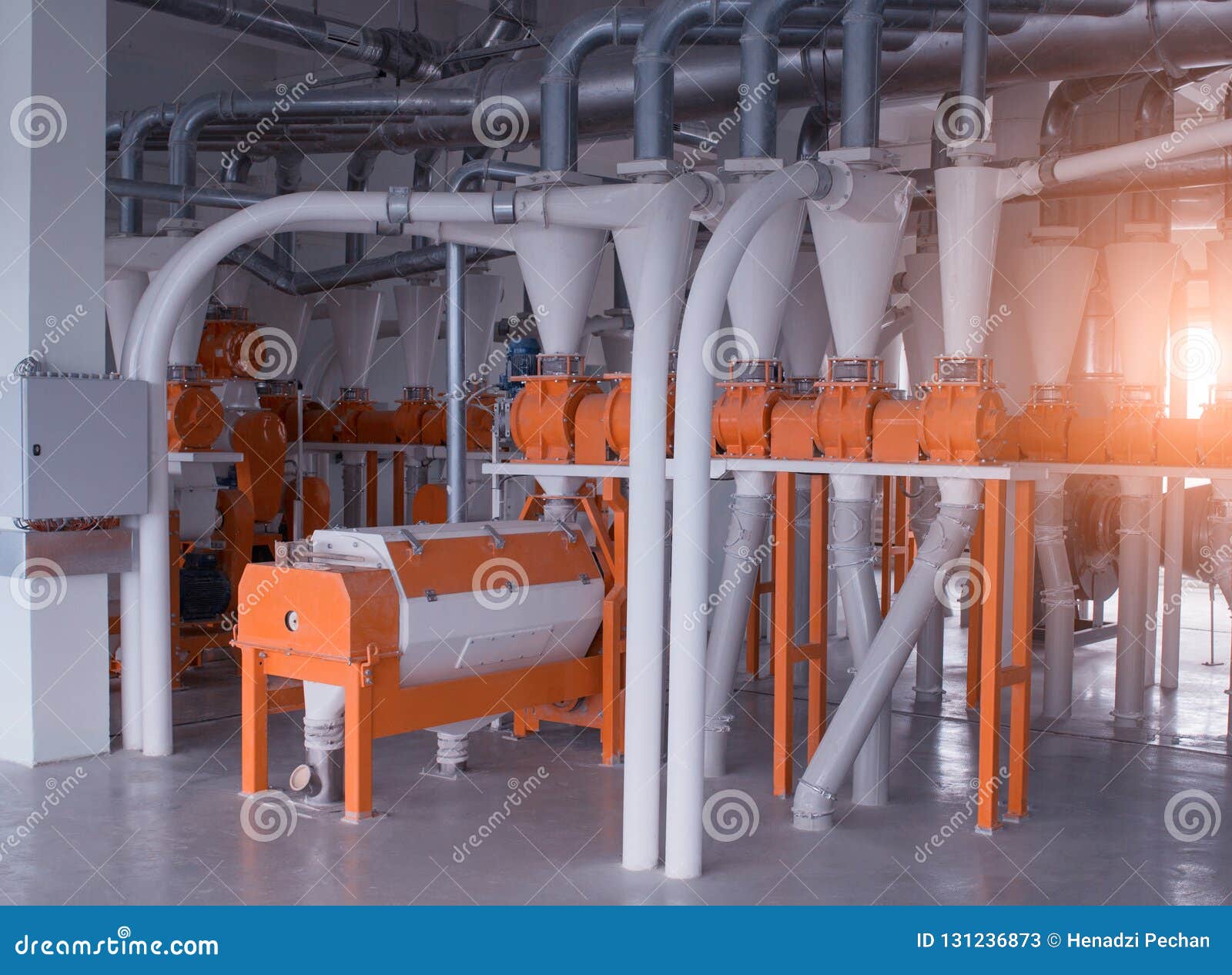 Modern Workshop at the Plant for the Production of Food Flour from ...