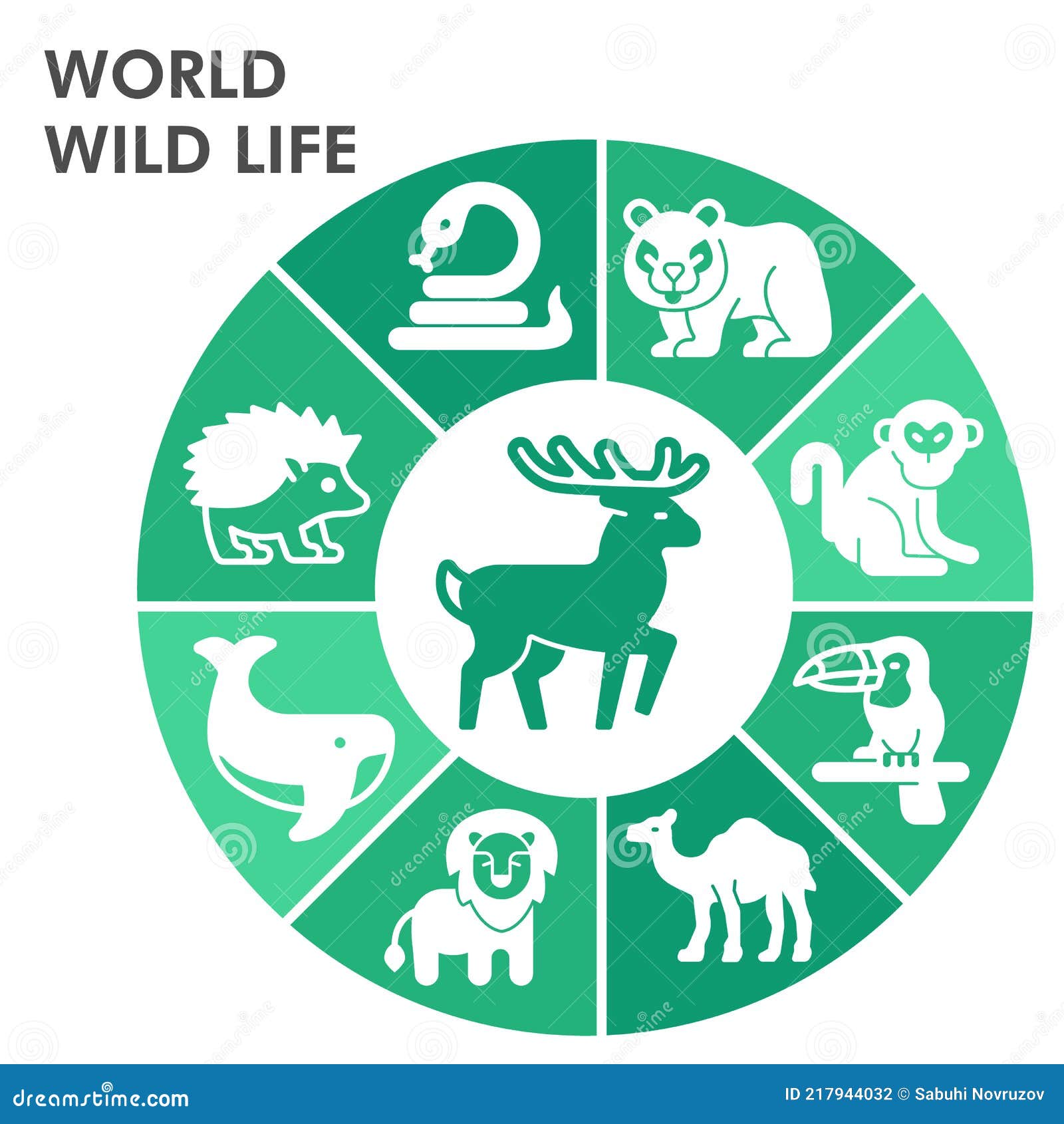 Modern World Wildlife Infographic Design Template. Wild Animals ...