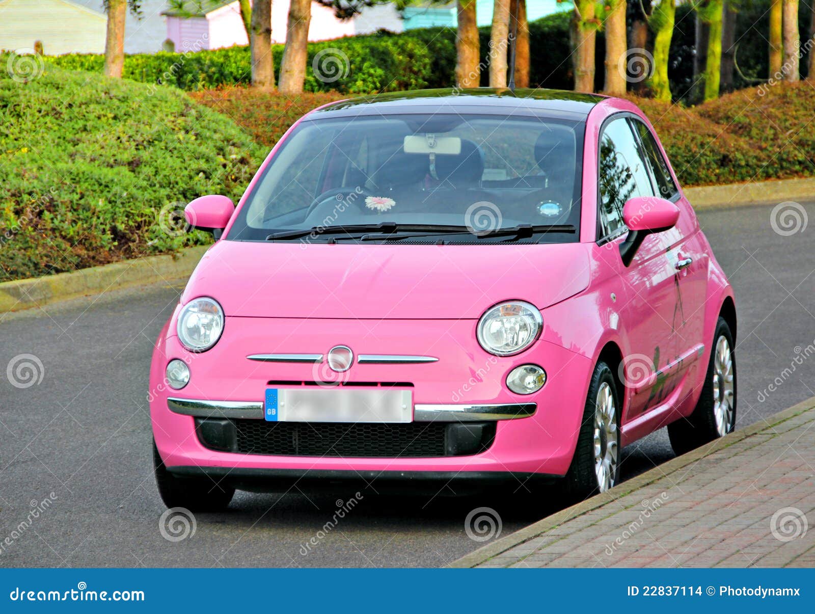 Moderne Pret Roze Kleine Auto Stock Foto - Image of klein, poedel: 22837114