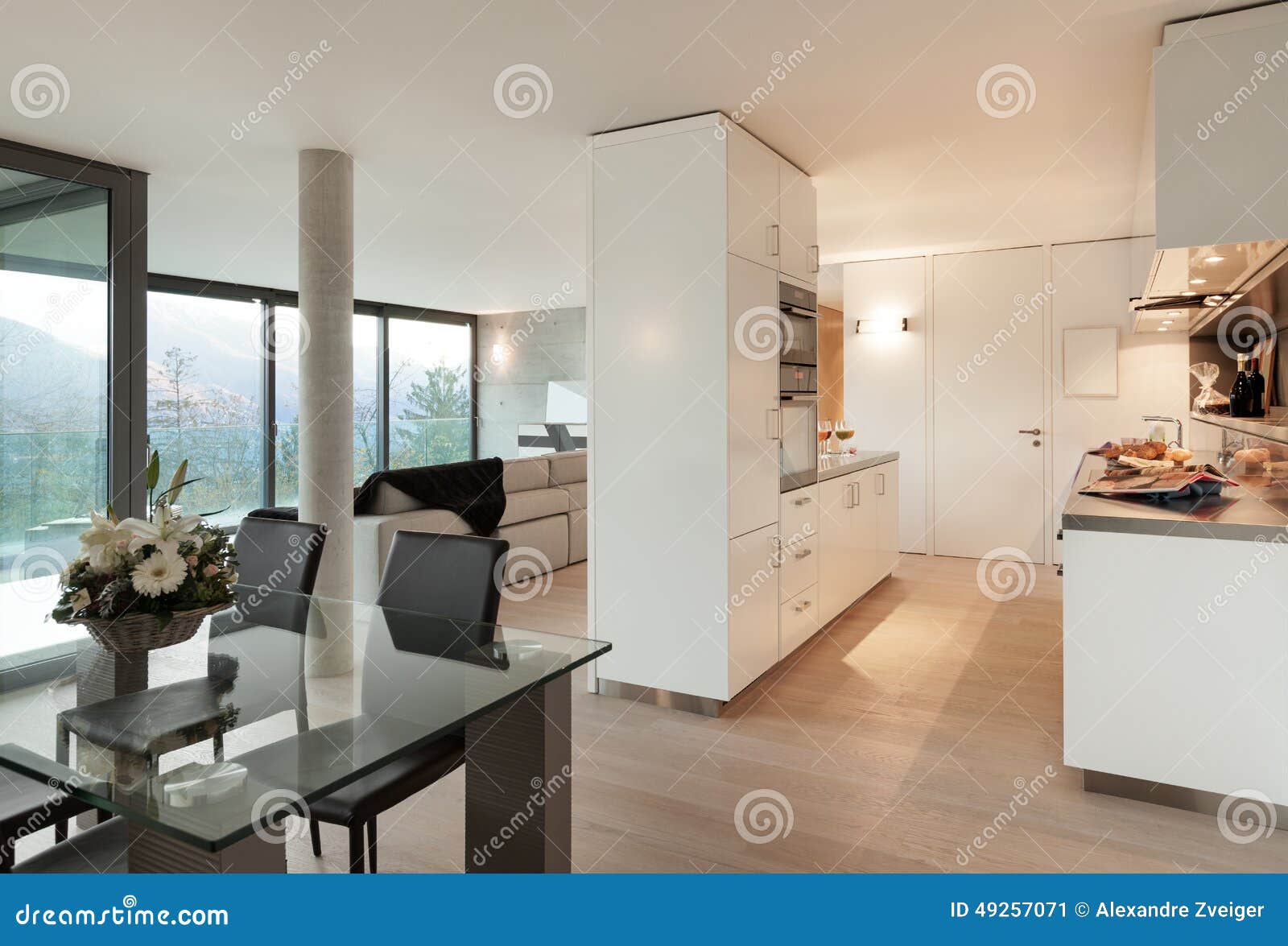 Moderne Wohnung, Innen stockbild. Bild von dekor, architektur - 49257071