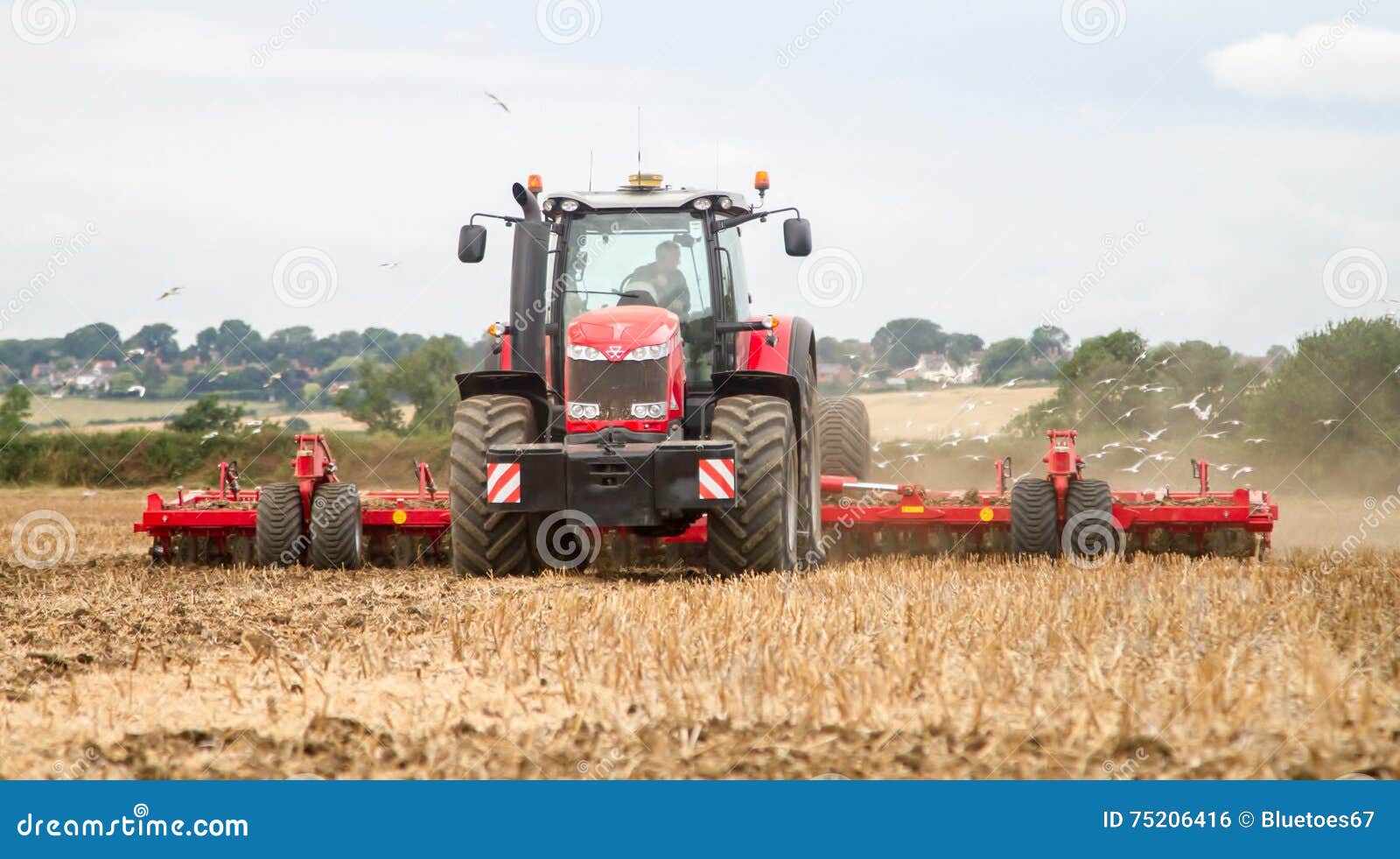 Moderner Massey Ferguson-Traktor, Der Feld Kultiviert Redaktionelles ...