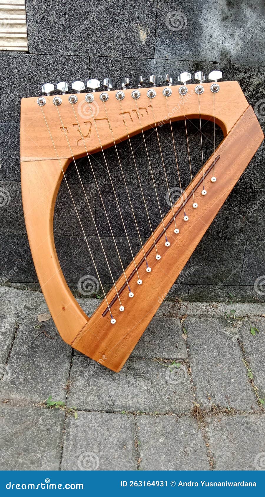 Modernharp stock image. Image of harp, stringed, string - 263164931