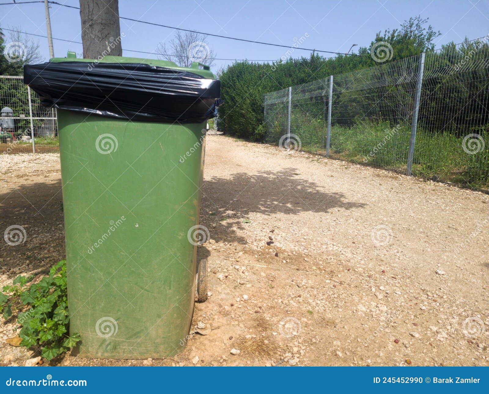 Moderno Basurero Verde En El Parque Foto de archivo - Imagen de planta ...