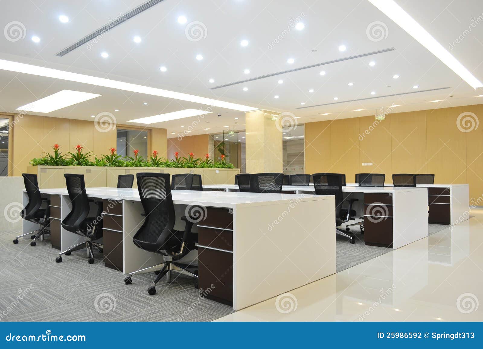 Modernt kontor arkivfoto. Bild av skrivbord, arkitektur - 25986592