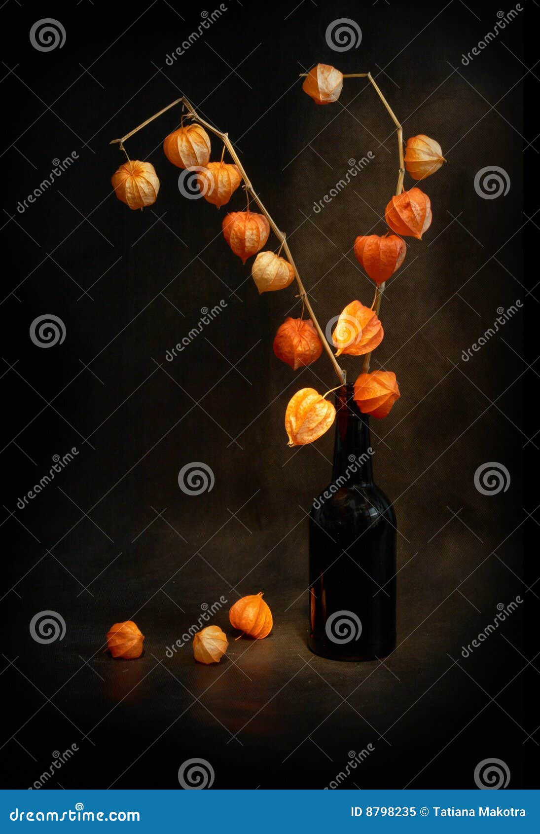 228 Modest Still Life Stock Photos - Free & Royalty-Free Stock Photos ...