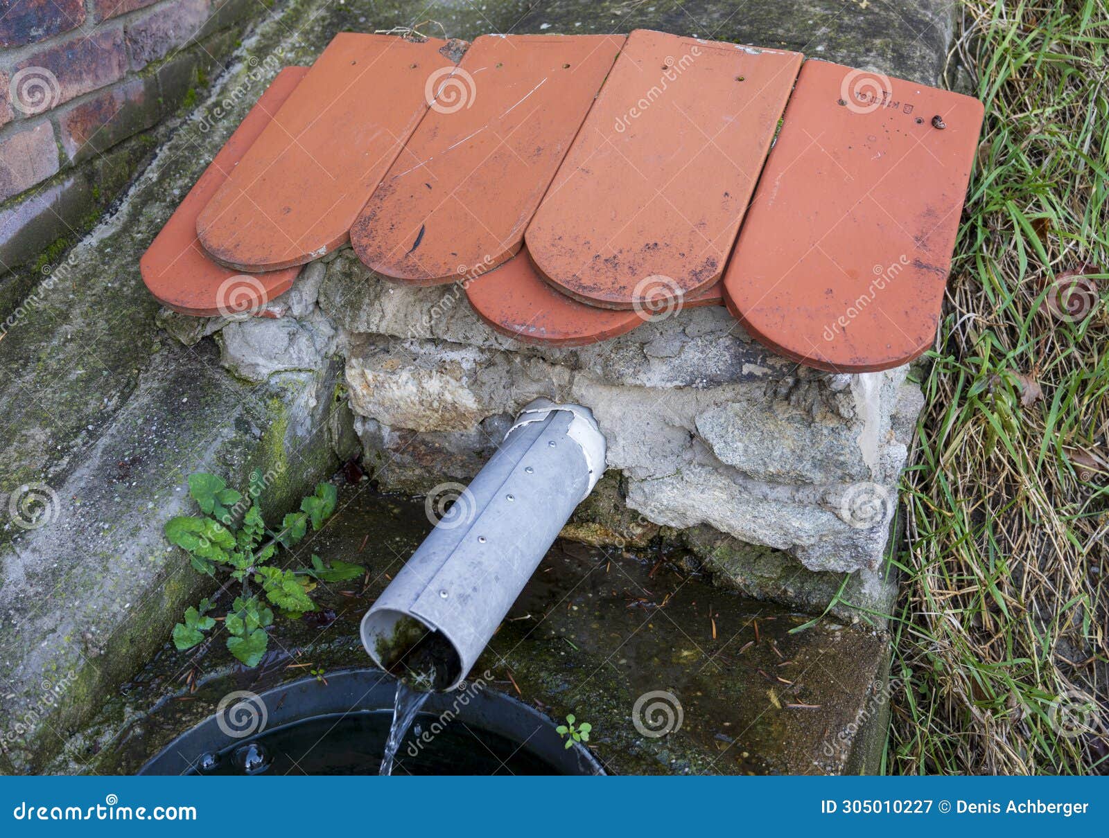 Modified Natural Spring. Water Flows Out of the Felt Pipe Stock Image ...
