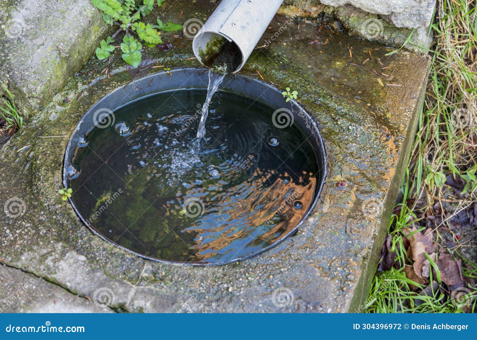 Modified Natural Spring. Water Flows Out of the Felt Pipe Stock Photo ...