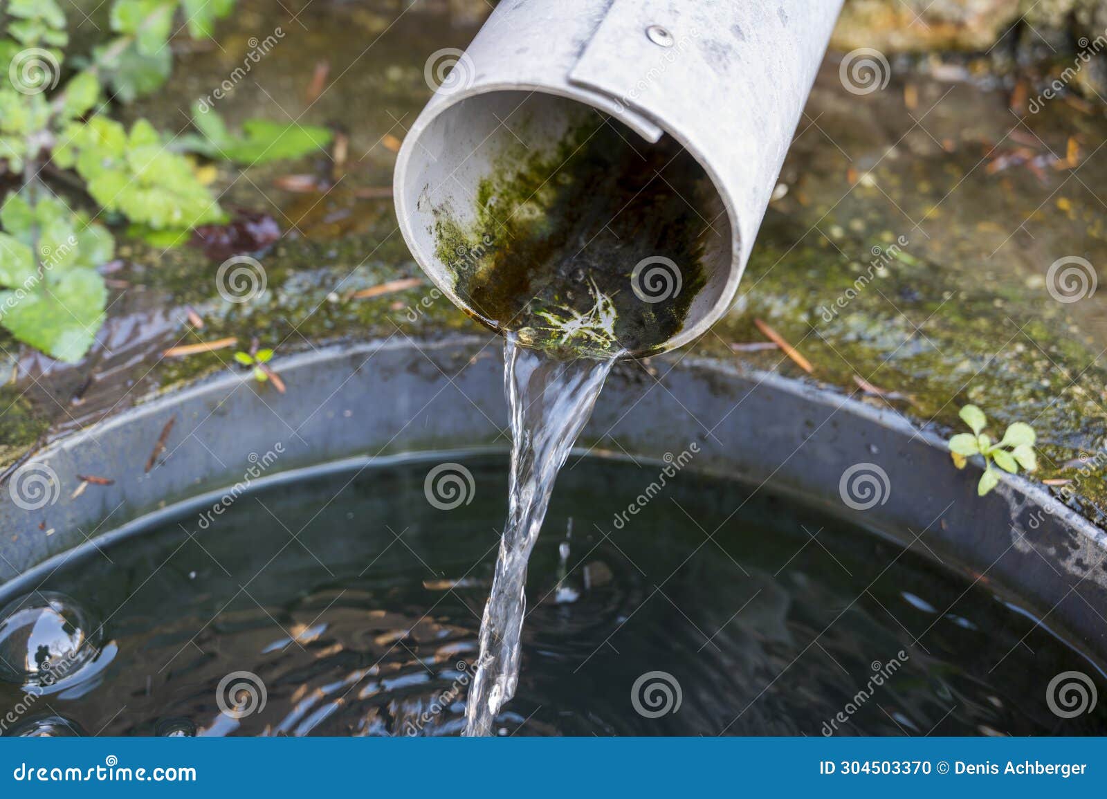 Modified Natural Spring. Water Flows Out of the Felt Pipe Stock Photo ...