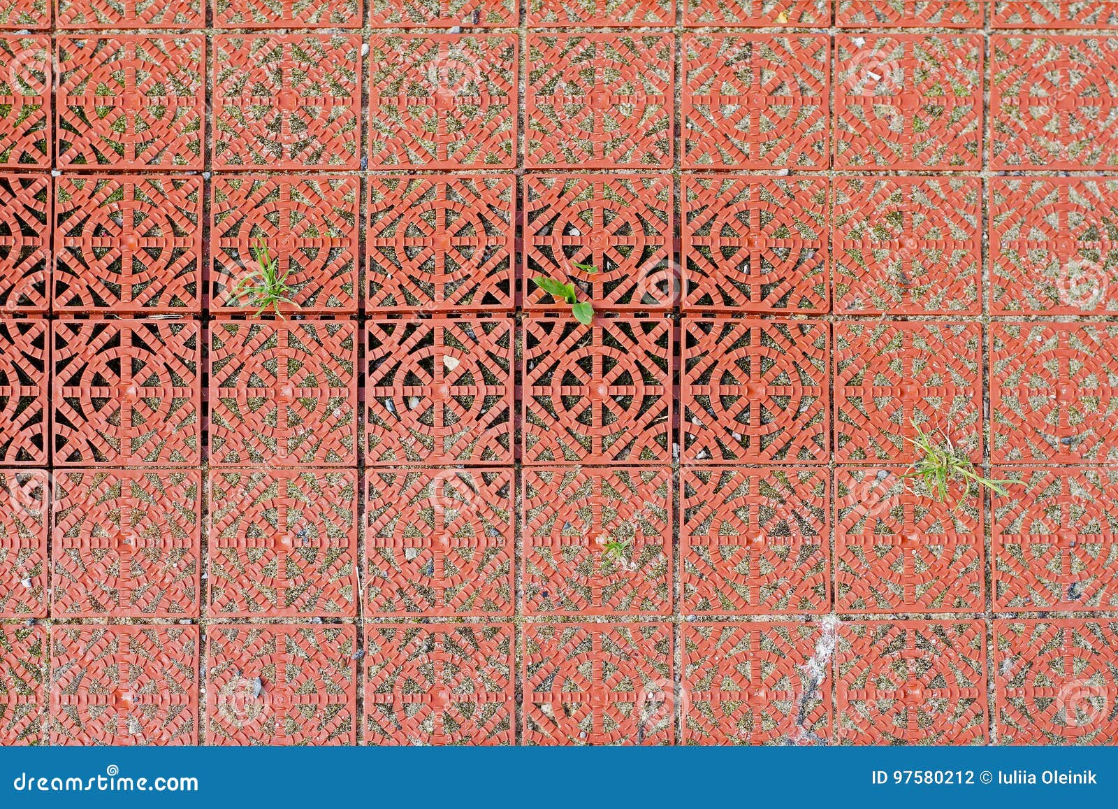 Modular Plastic Floor Tiles with Plants Stock Photo - Image of floor ...