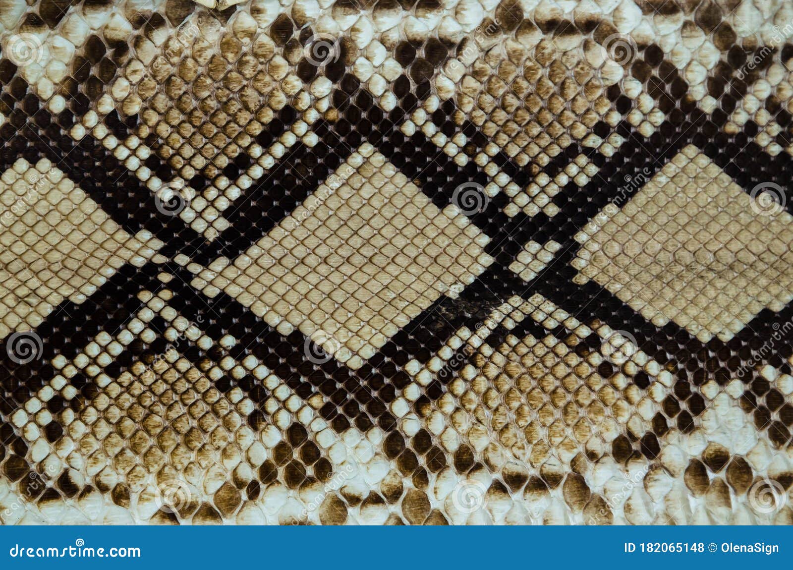 Modèle De Peaux De Serpent De Texture Python Photo stock - Image du cuir, texture: 182065148