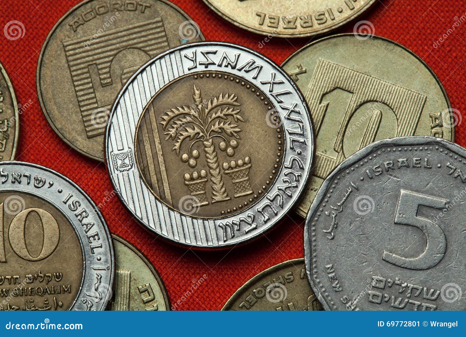 Moedas De Israel Palmeira Com Sete Folhas E Duas Cestas Imagem de Stock ...