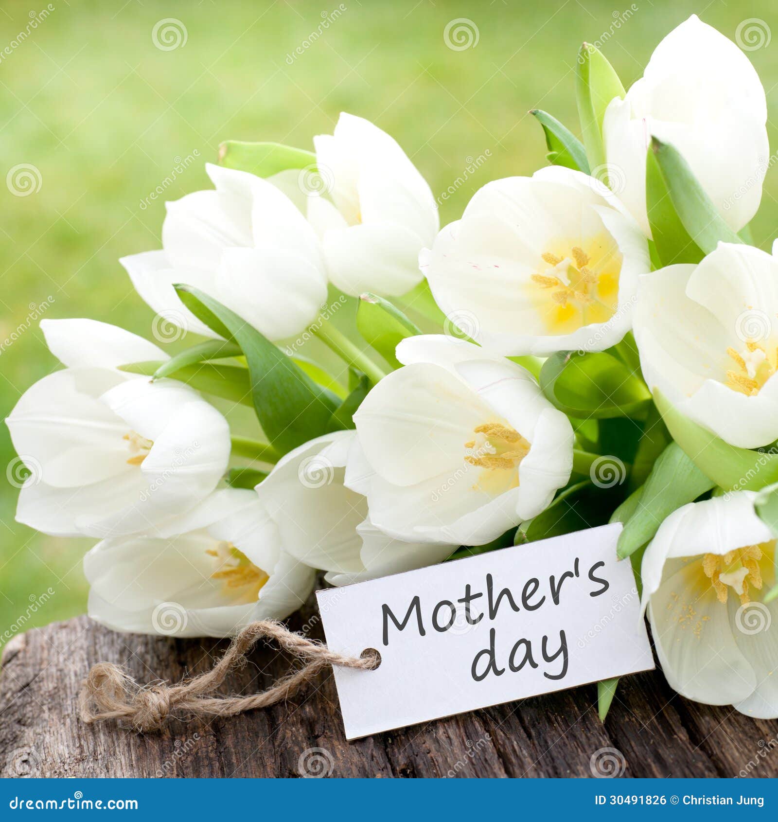 Moederdag stock foto. Image of rood, rozen, symbool, moeder - 30491826