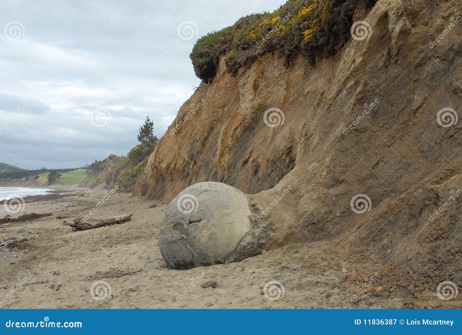 Moeraki Fluss-Stein-Schlammsteinklippe, Otago, Neuseeland Stockbild ...