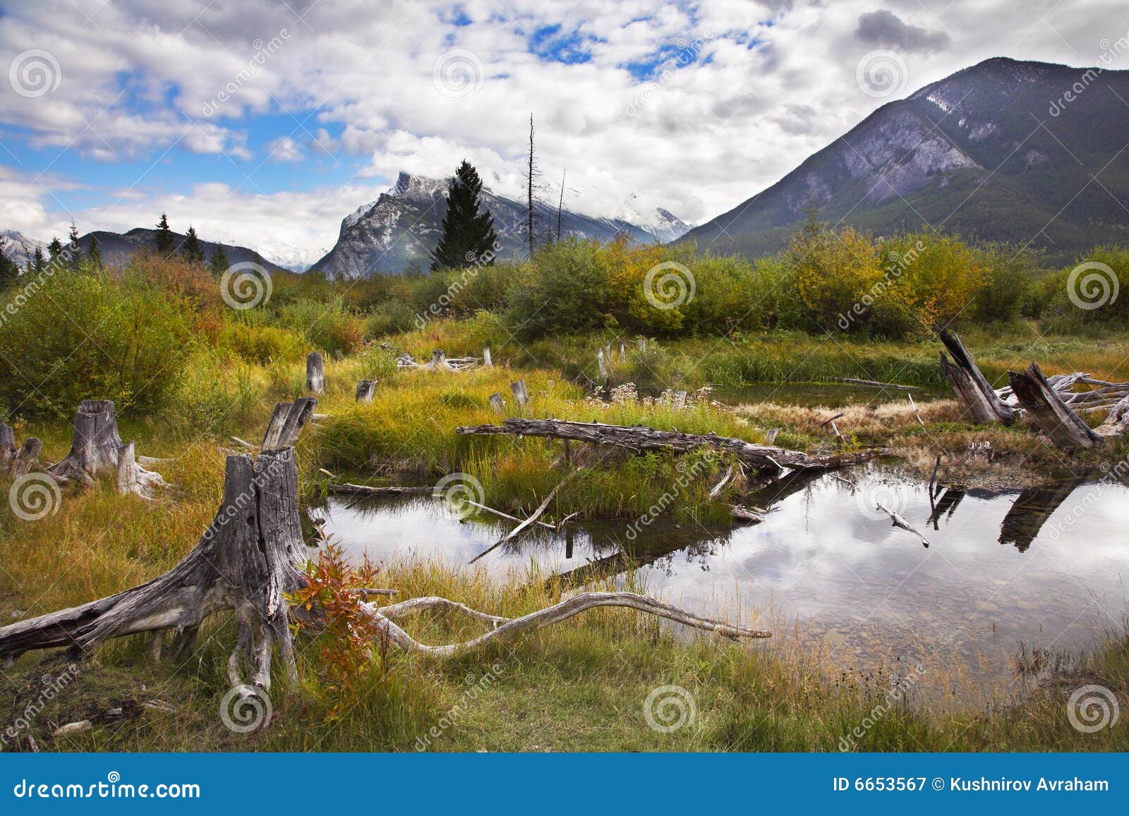 Moeras in bergen stock afbeelding. Image of moeras, gras - 6653567