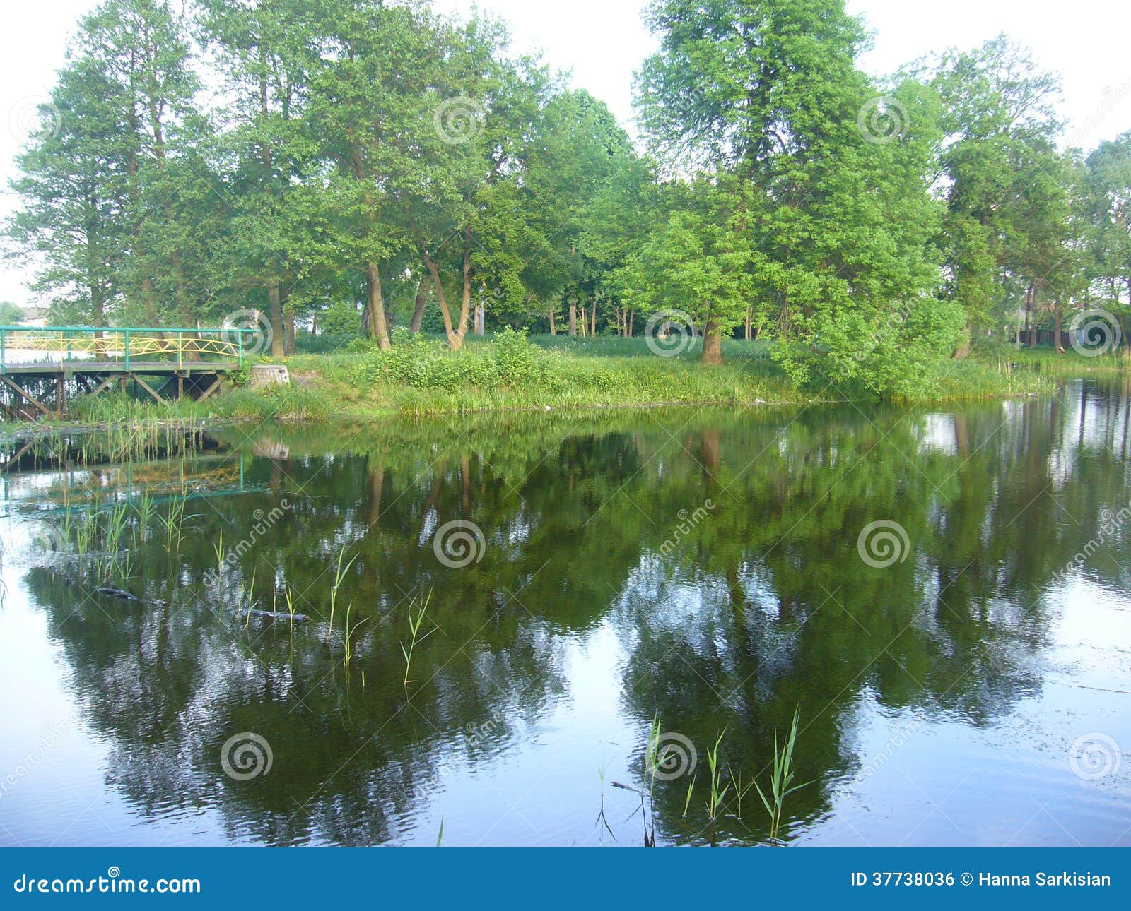 Moeras in Wit-Rusland stock foto. Image of summer, vrede - 37738036