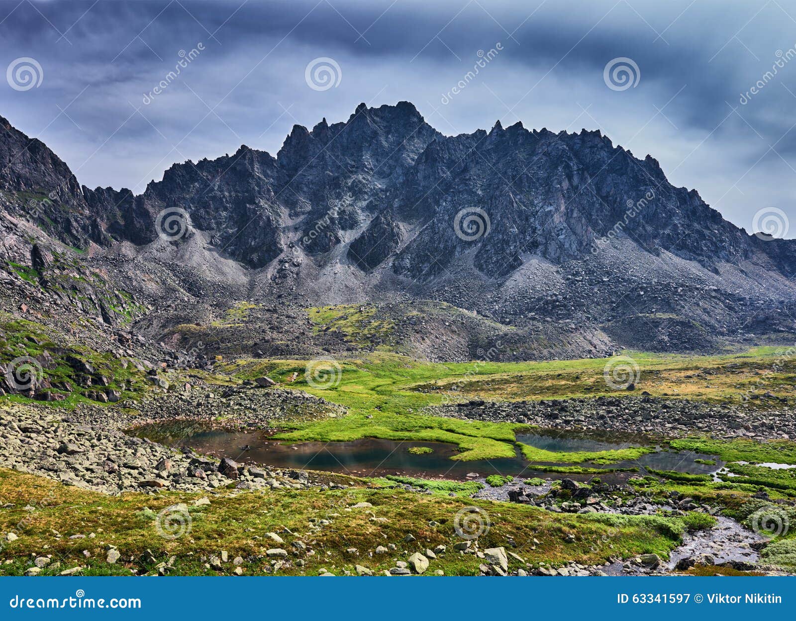 Moerassige Toendra in De Siberische Bergen Stock Afbeelding - Image of ...