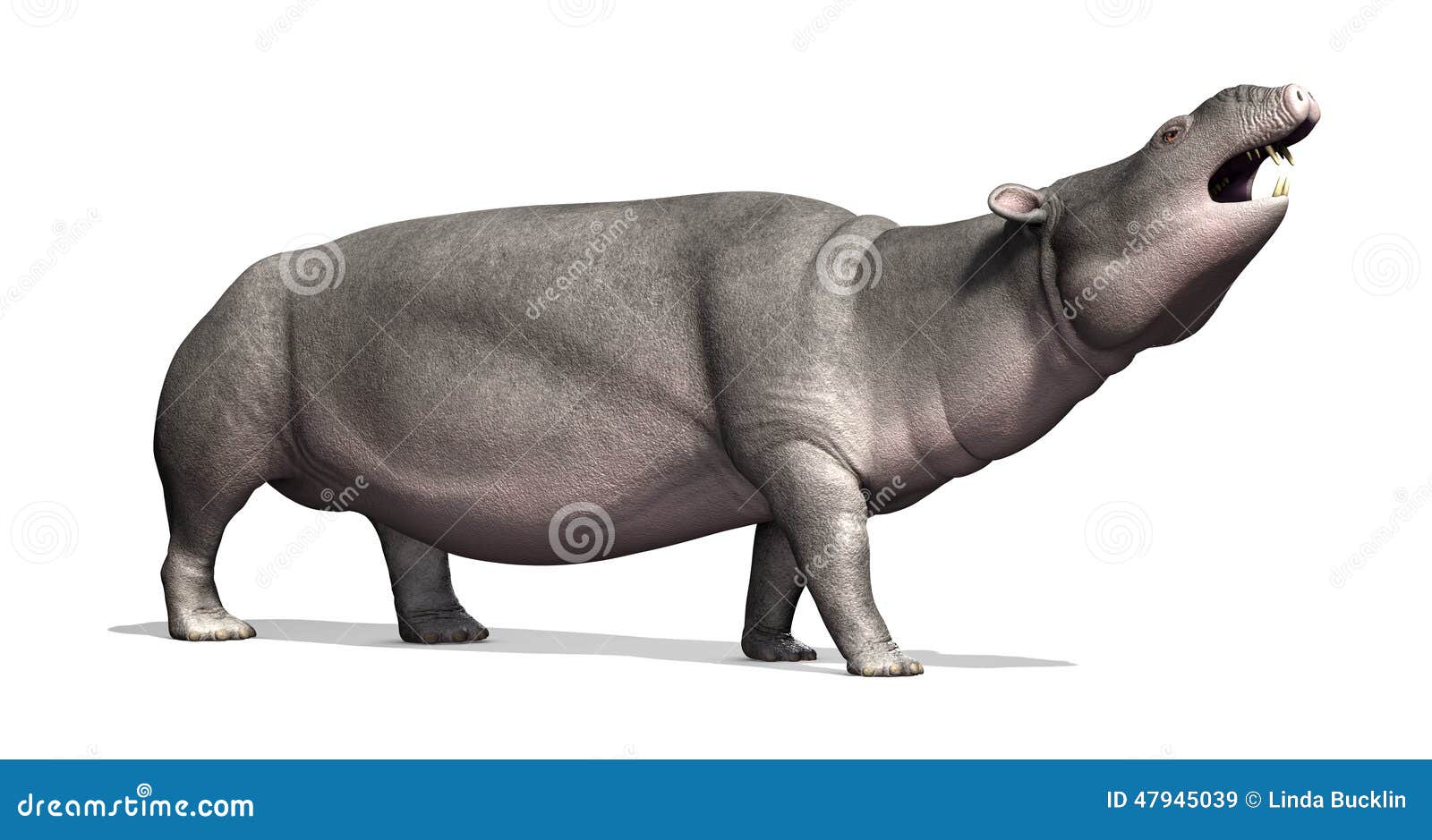 Moeritherium - Mamífero Prehistórico Stock de ilustración - Ilustración ...